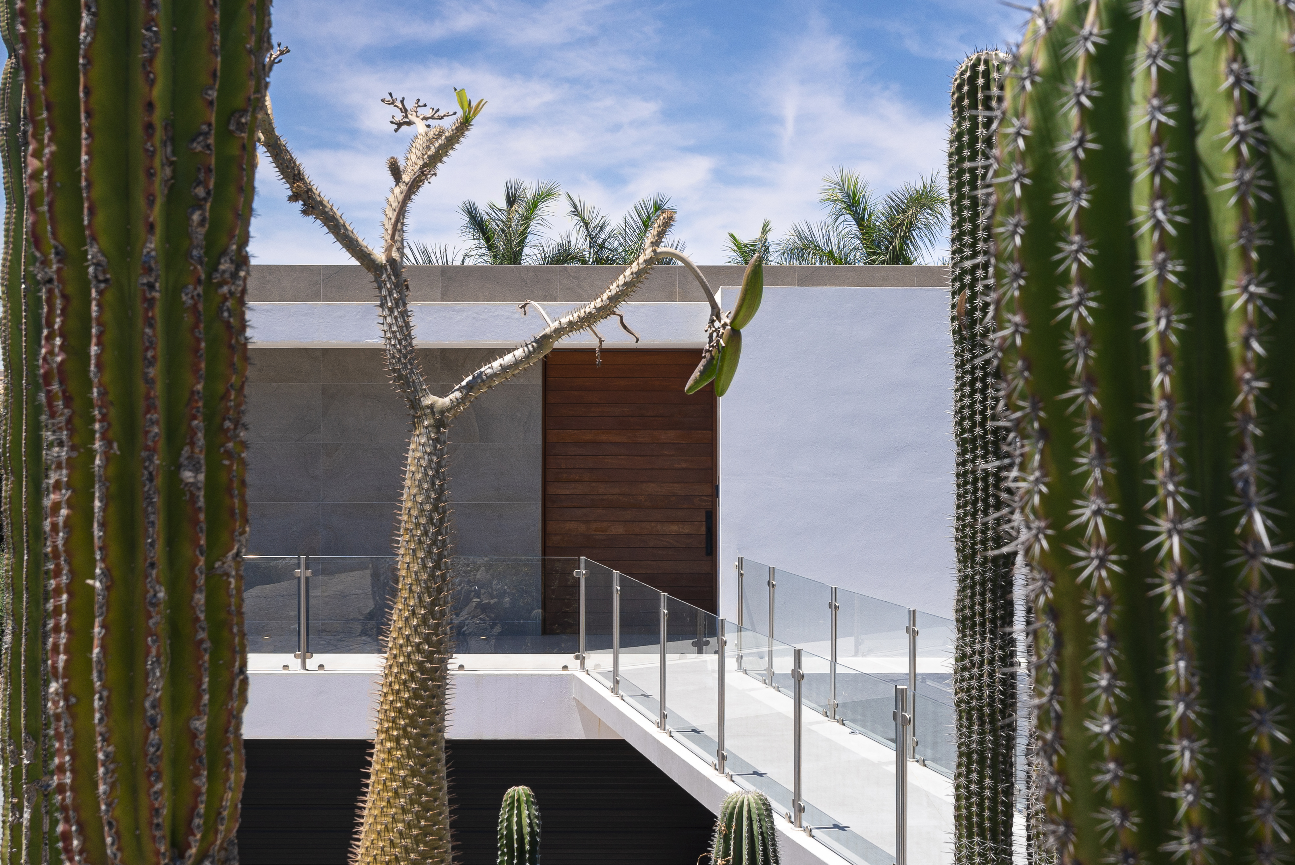 Idea 3705190: Cresta del Mar 74 by estudio AM arquitectos in Cabo San ...