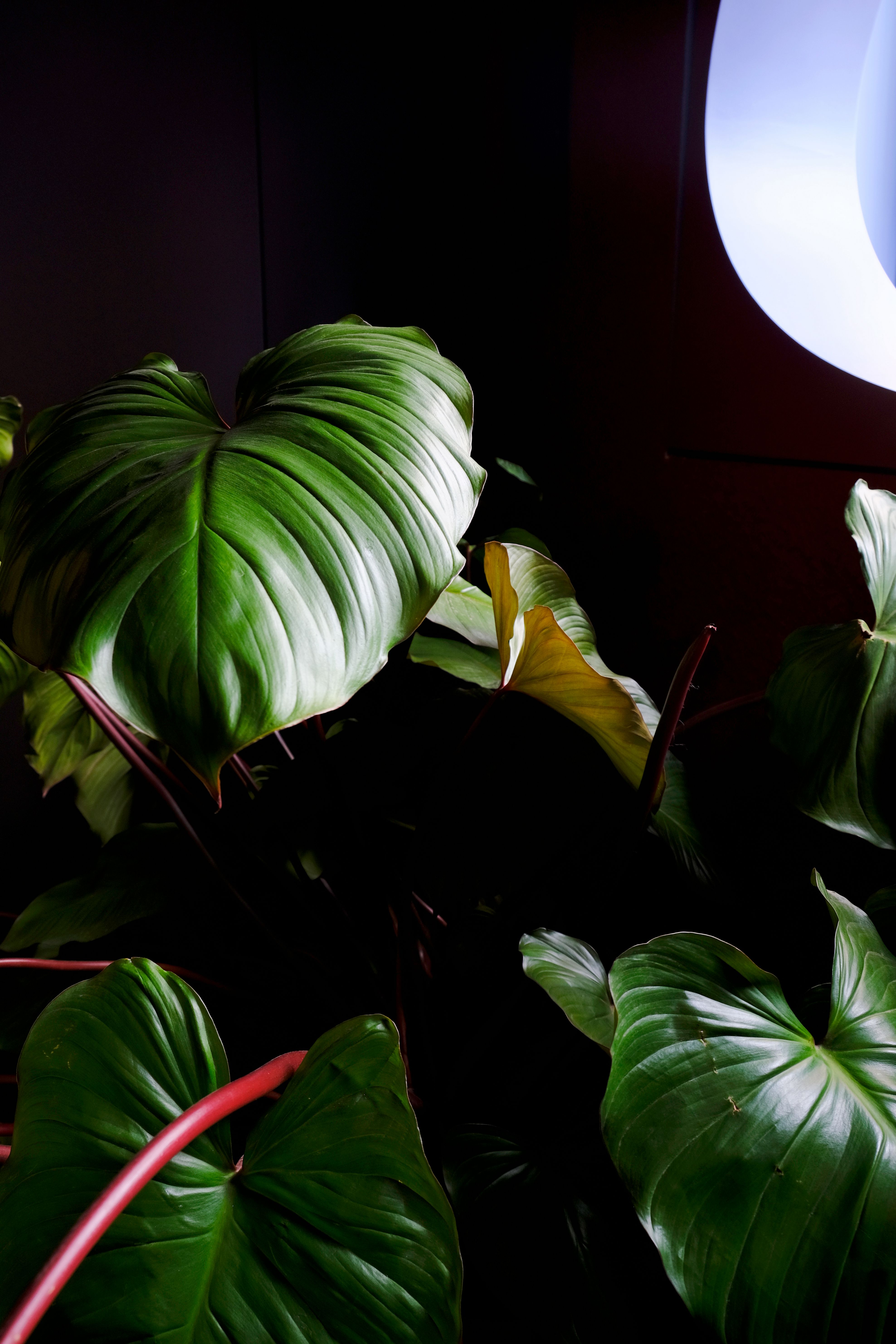 Record Studio Bar by STUDIO SHOO - Architizer