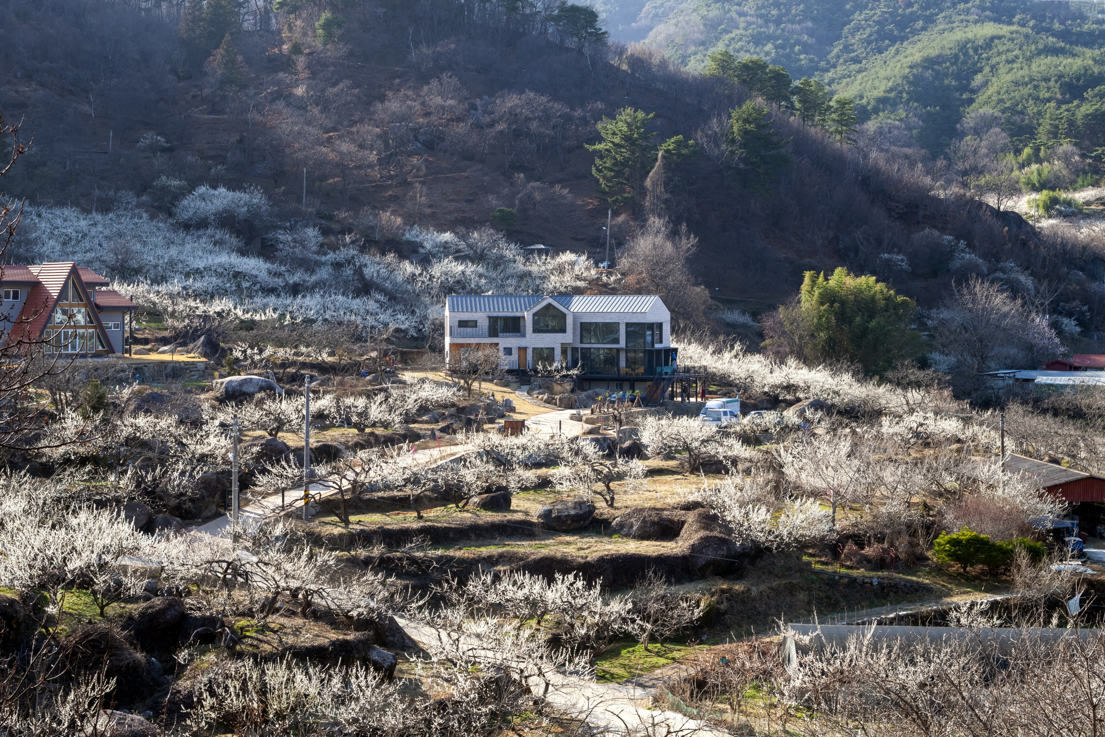 Domus Petra (House on the rock) by Studio Gaon - Architizer