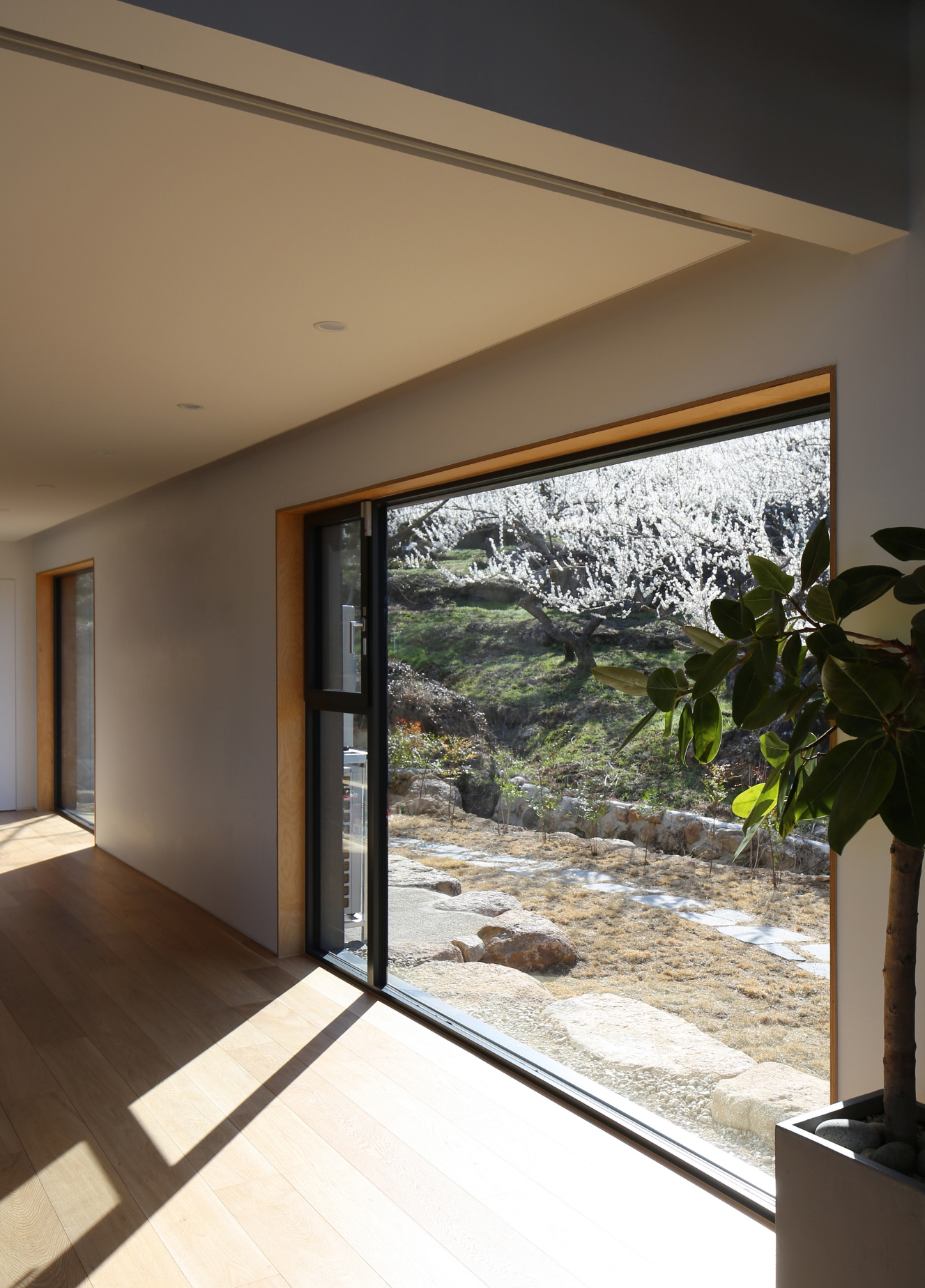 Domus Petra (House on the rock) by Studio Gaon - Architizer