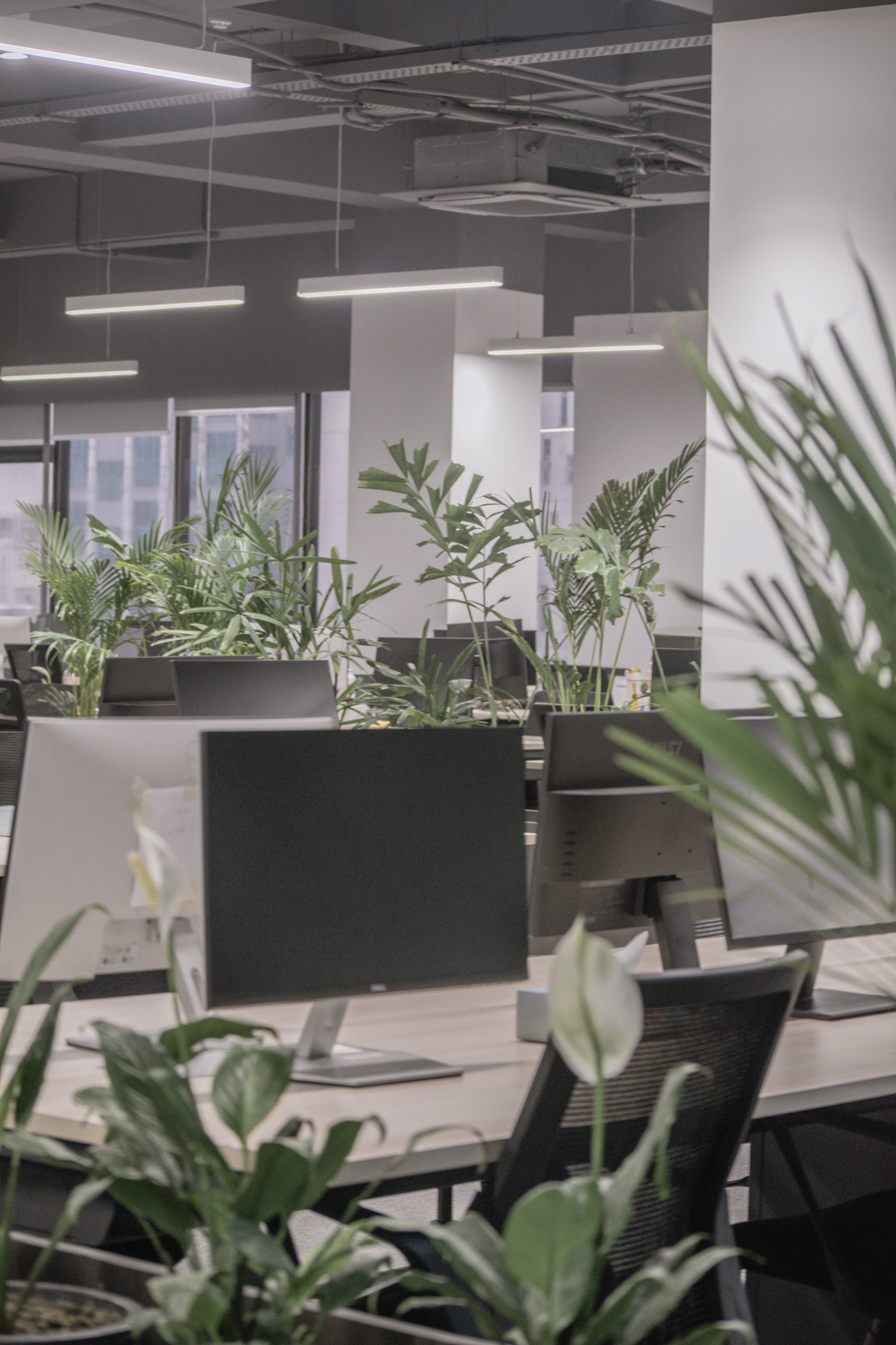 DARAZ HQ by STUDIO NEBA - Architizer