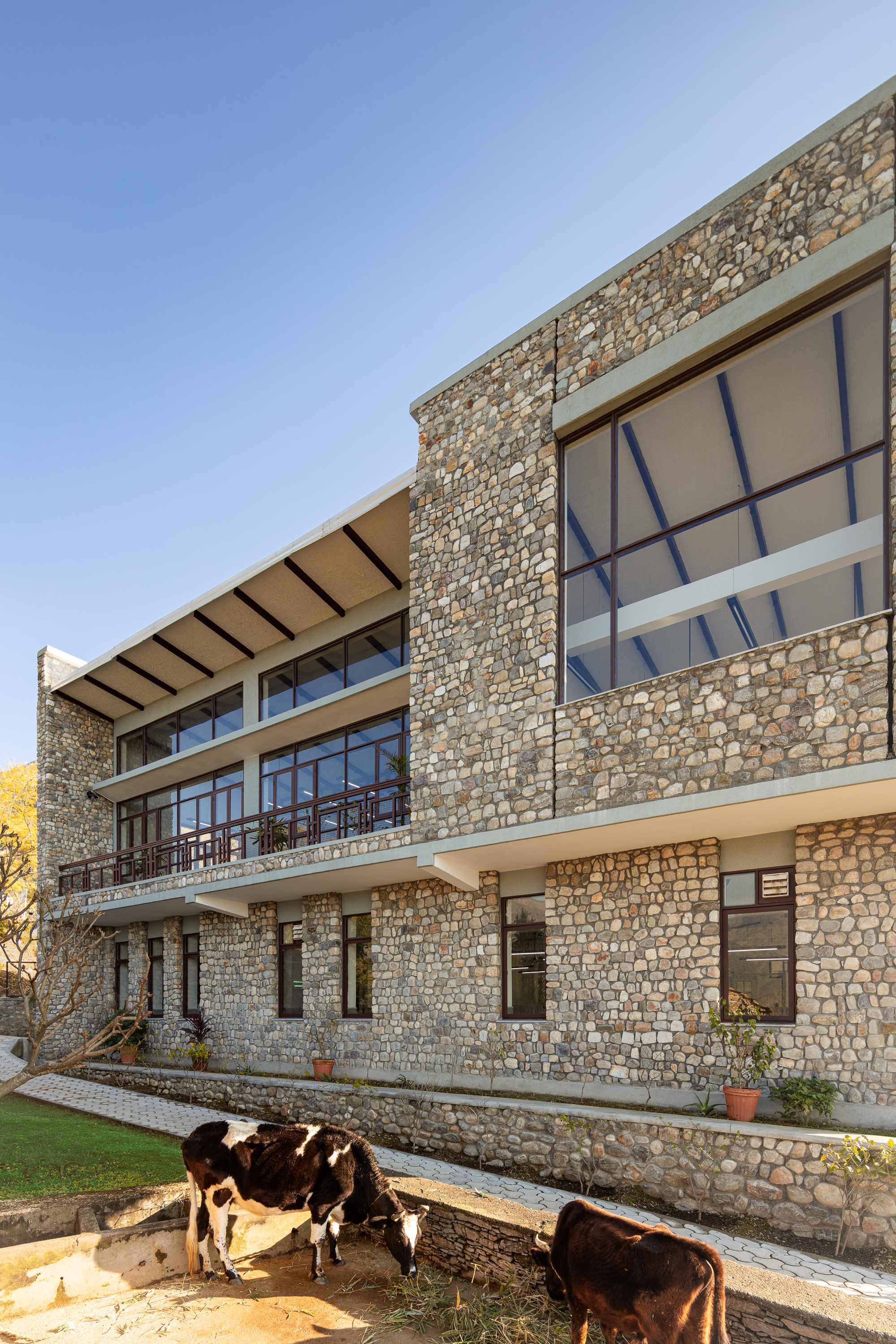 The Lodsi Community Project for Forest Essentials by Morphogenesis ...