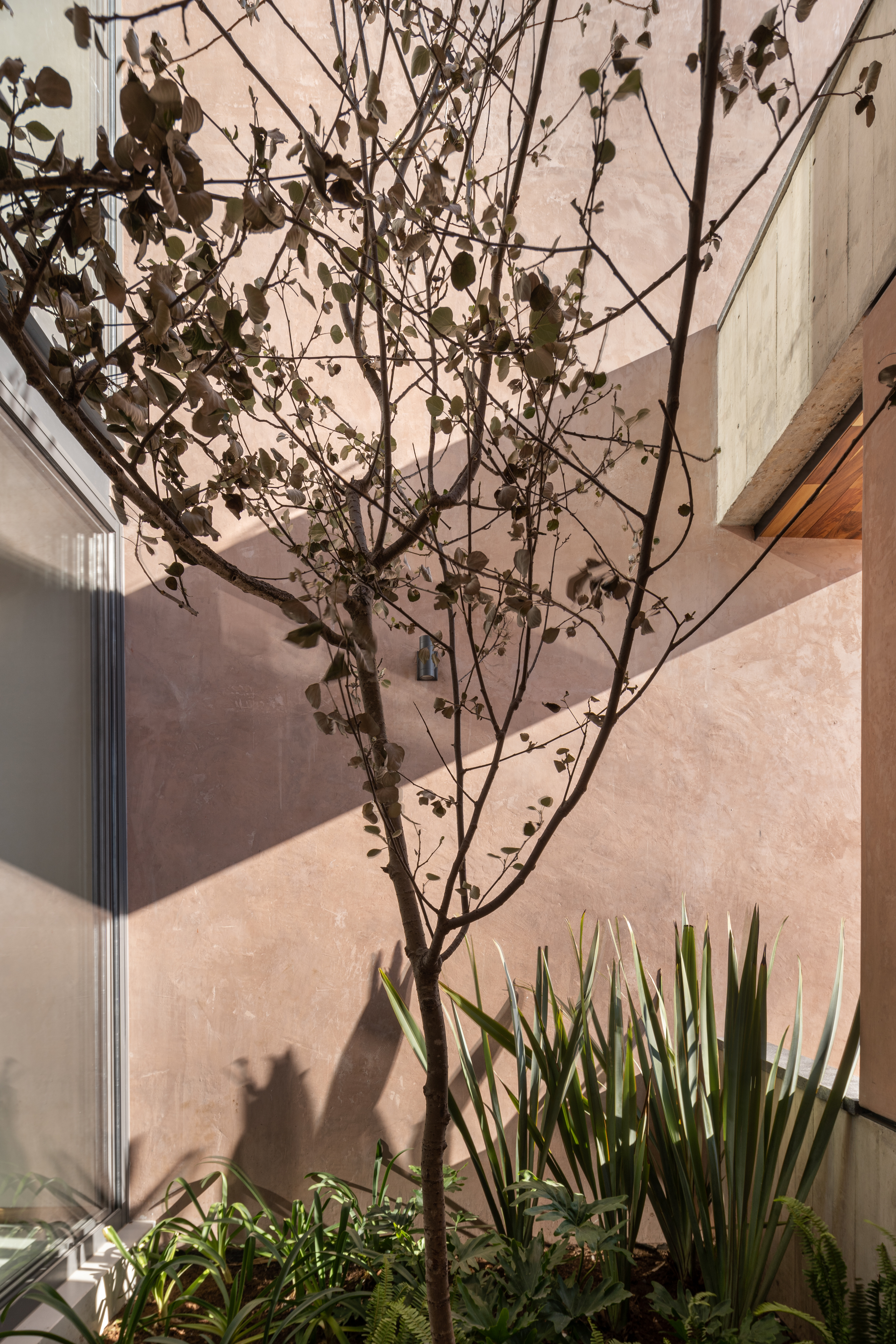 Monolith House by Infante Arquitectos - Architizer