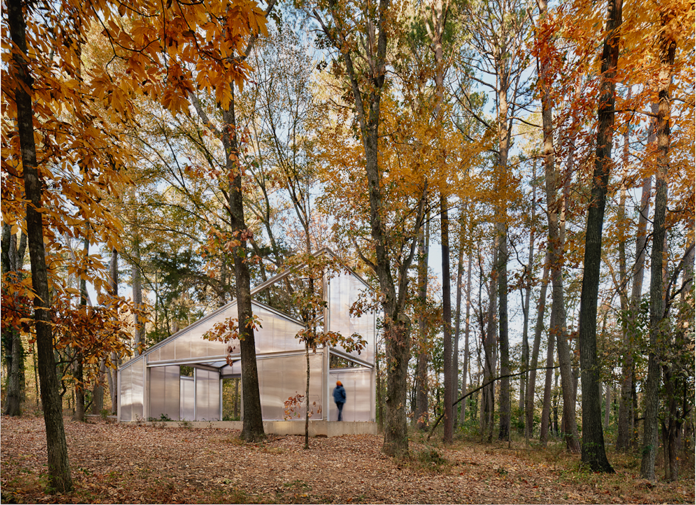 Infinite Openness by PPAA - Architizer