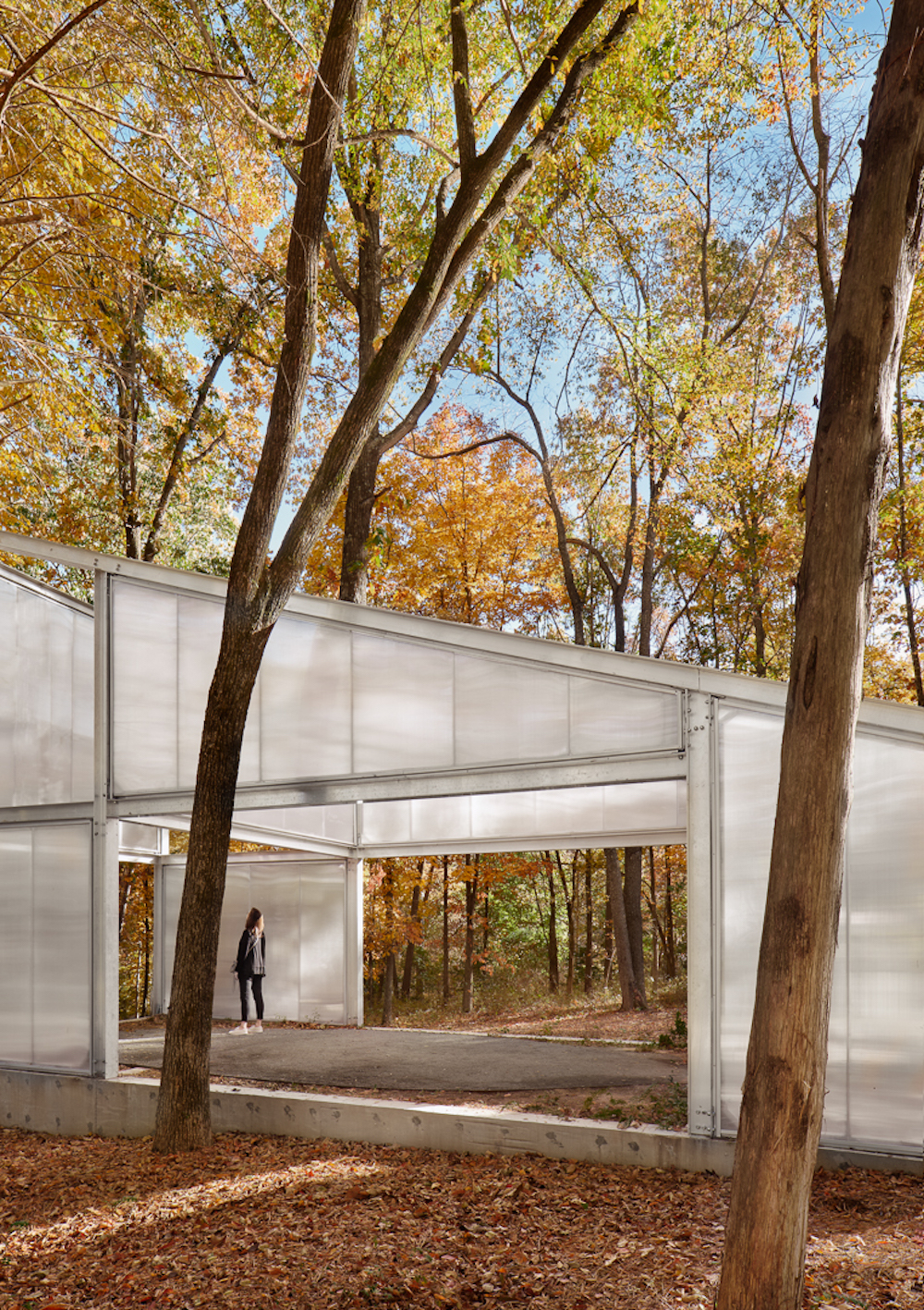 Infinite Openness by PPAA - Architizer