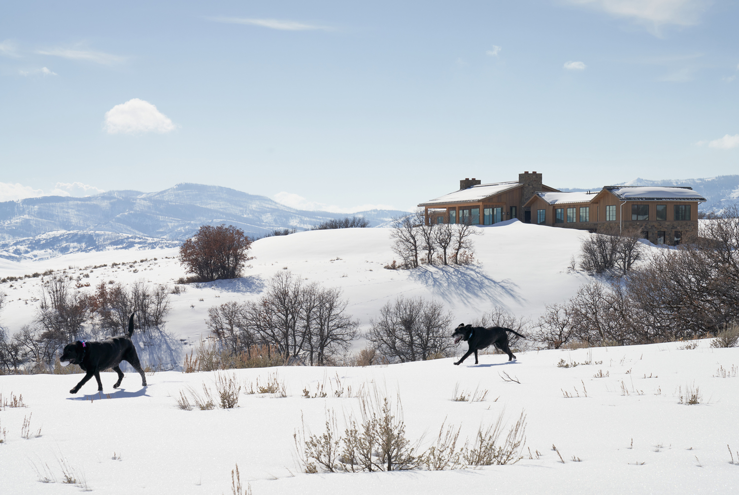 5K Ranch by Richard Beard Architects - Architizer