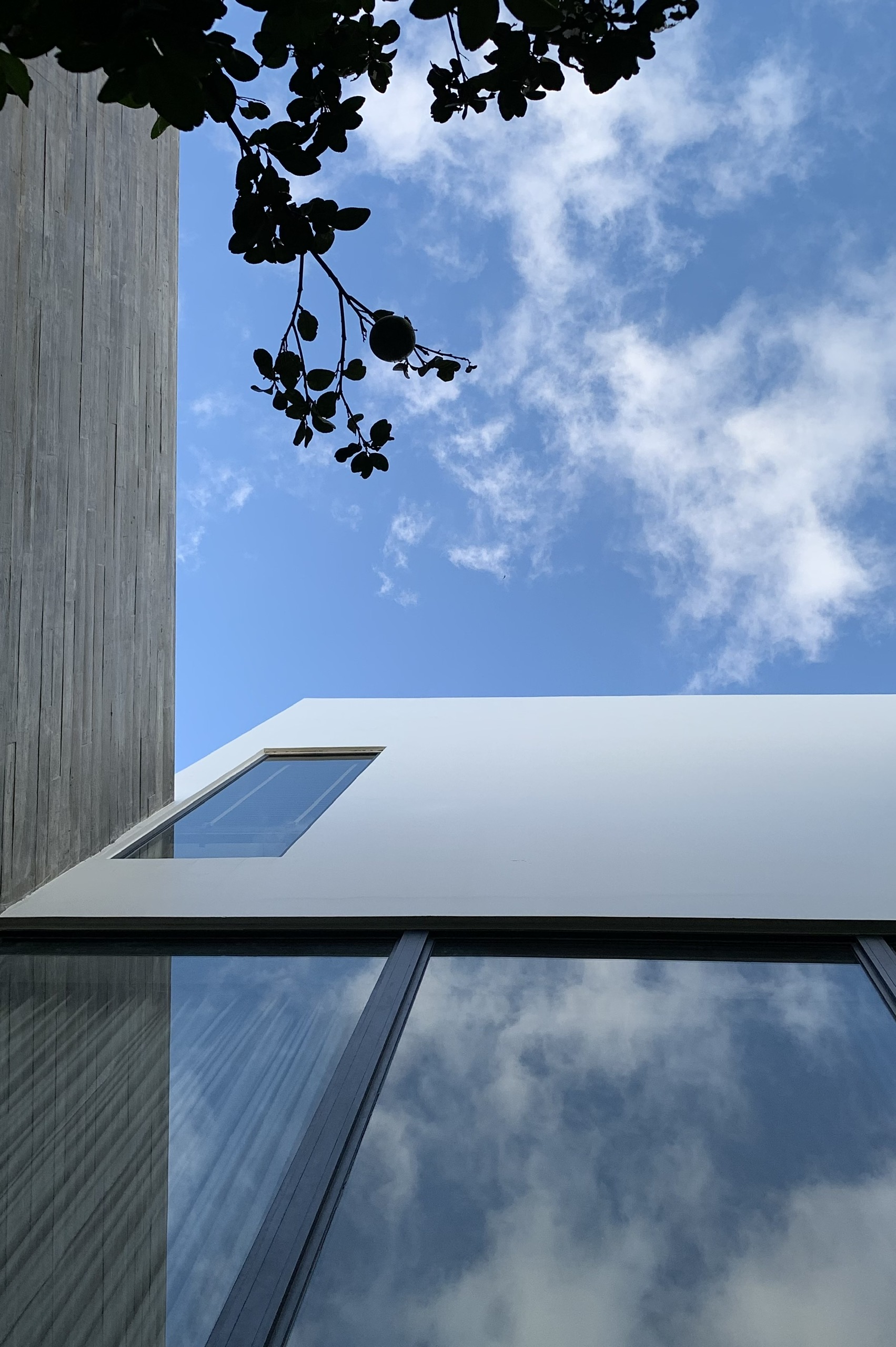 DKS House by MAS Architecture - Architizer