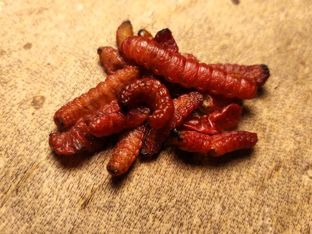 CIEM by Soritana Arquitectos - Architizer