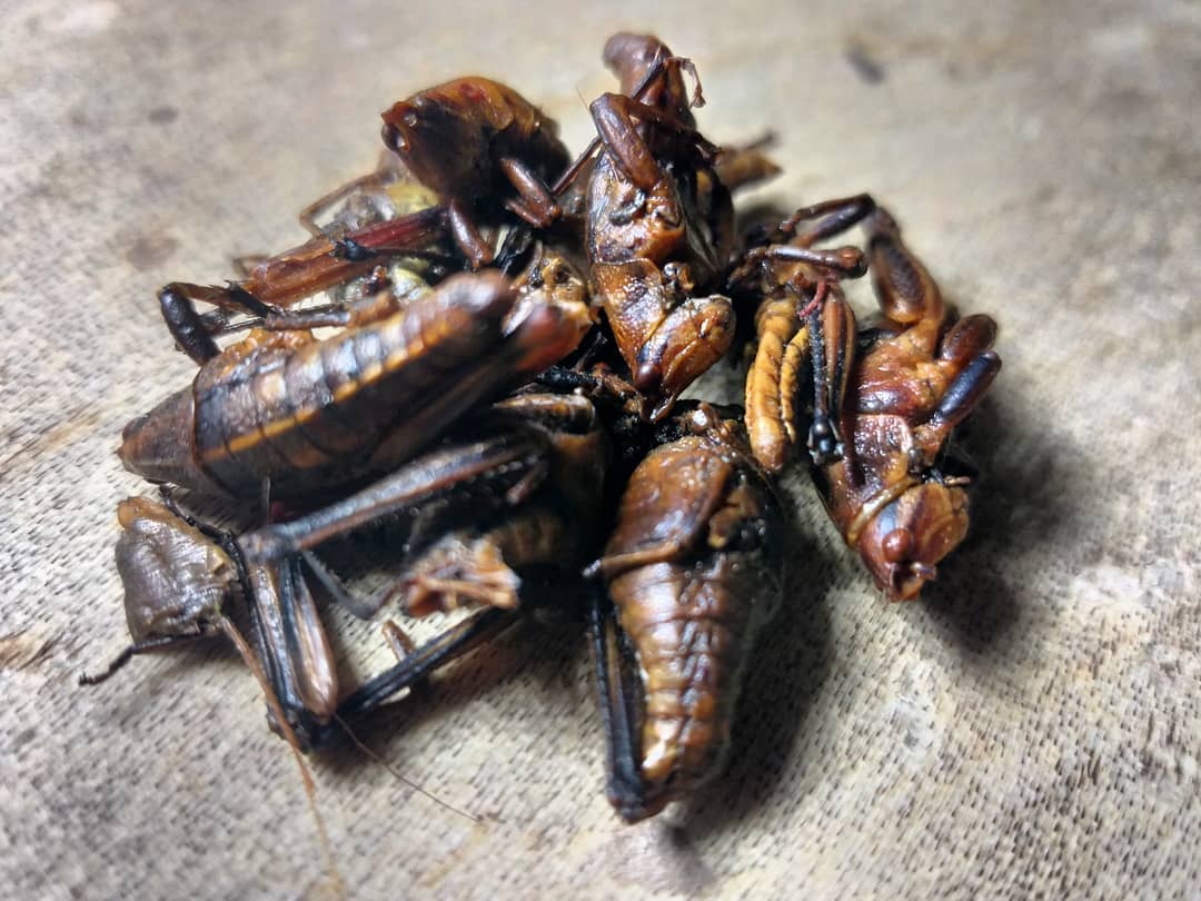 CIEM by Soritana Arquitectos - Architizer