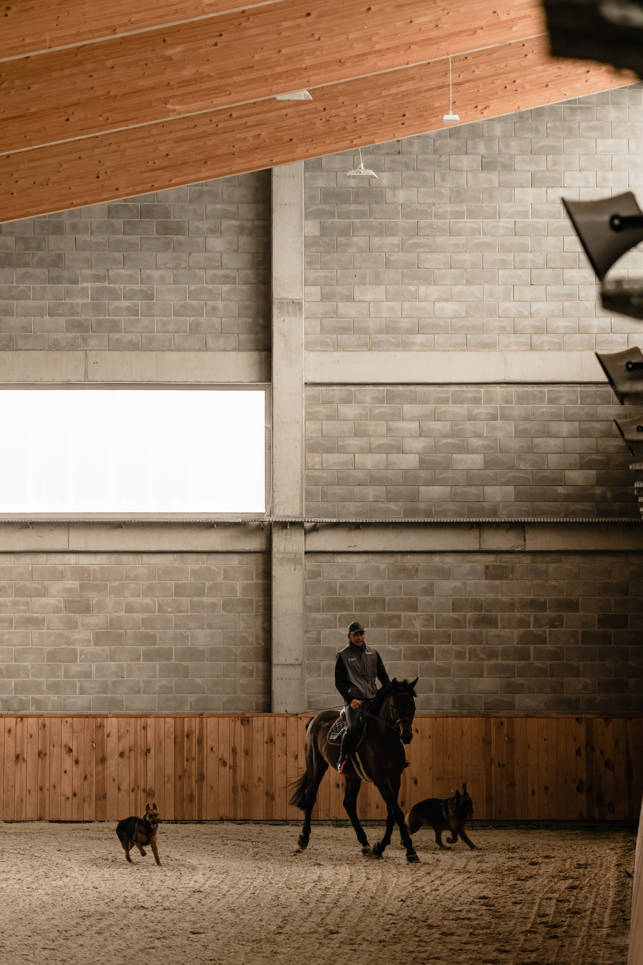 Horse House by wiercinski-studio - Architizer