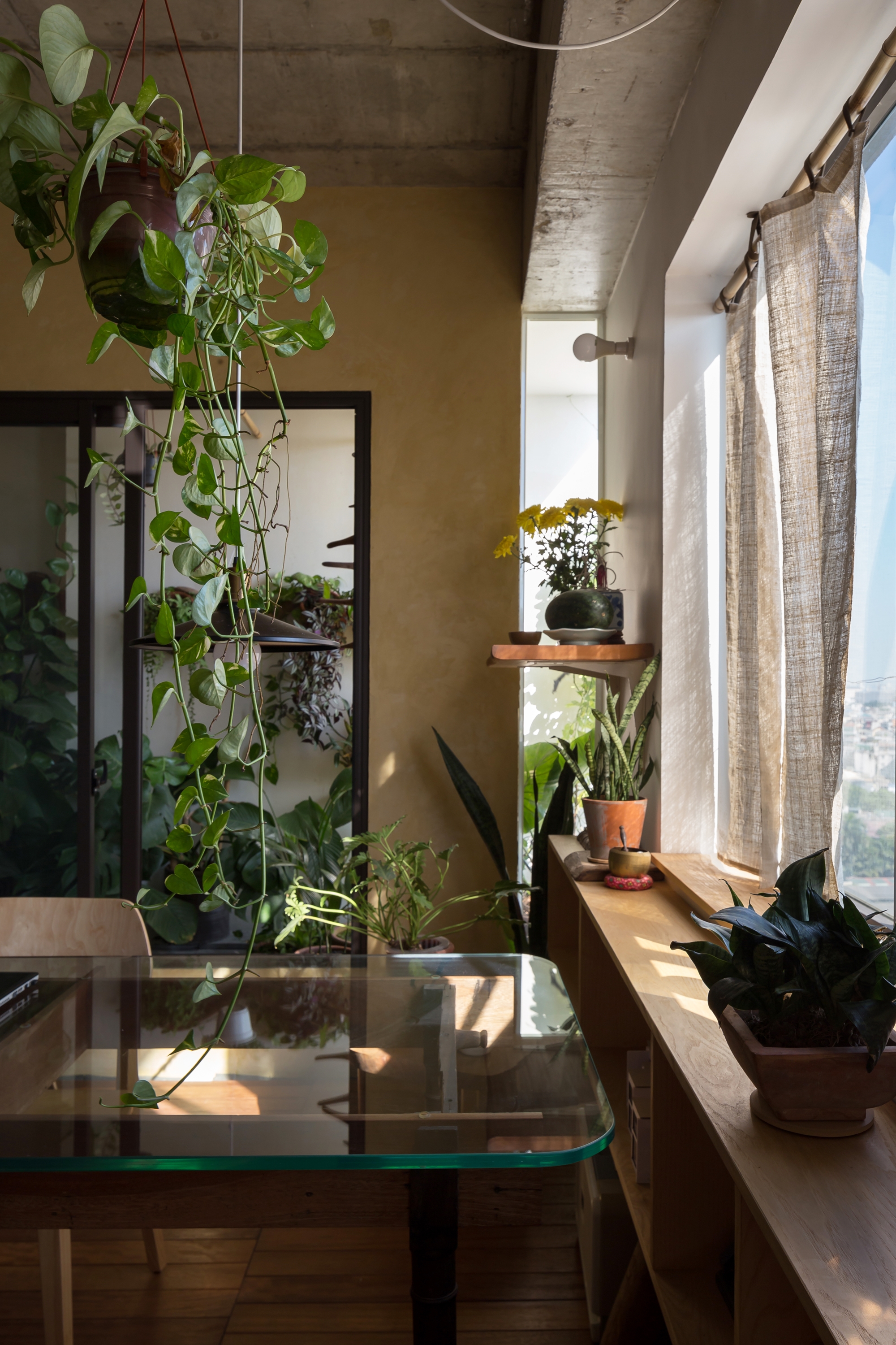 1110 apartment by atelier 12 - Architizer