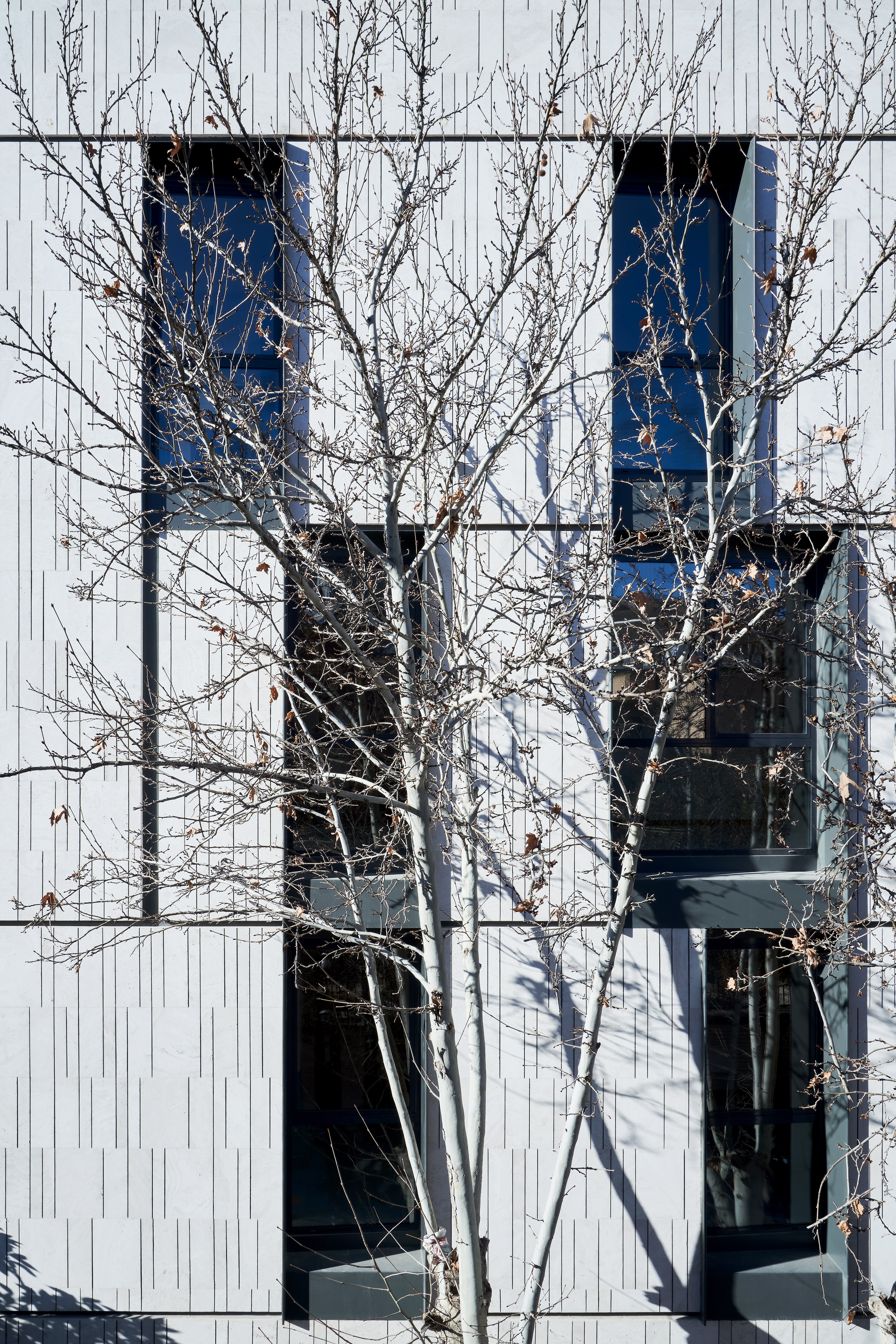 Didar Residential Building by MAAN Architecture Office - Architizer