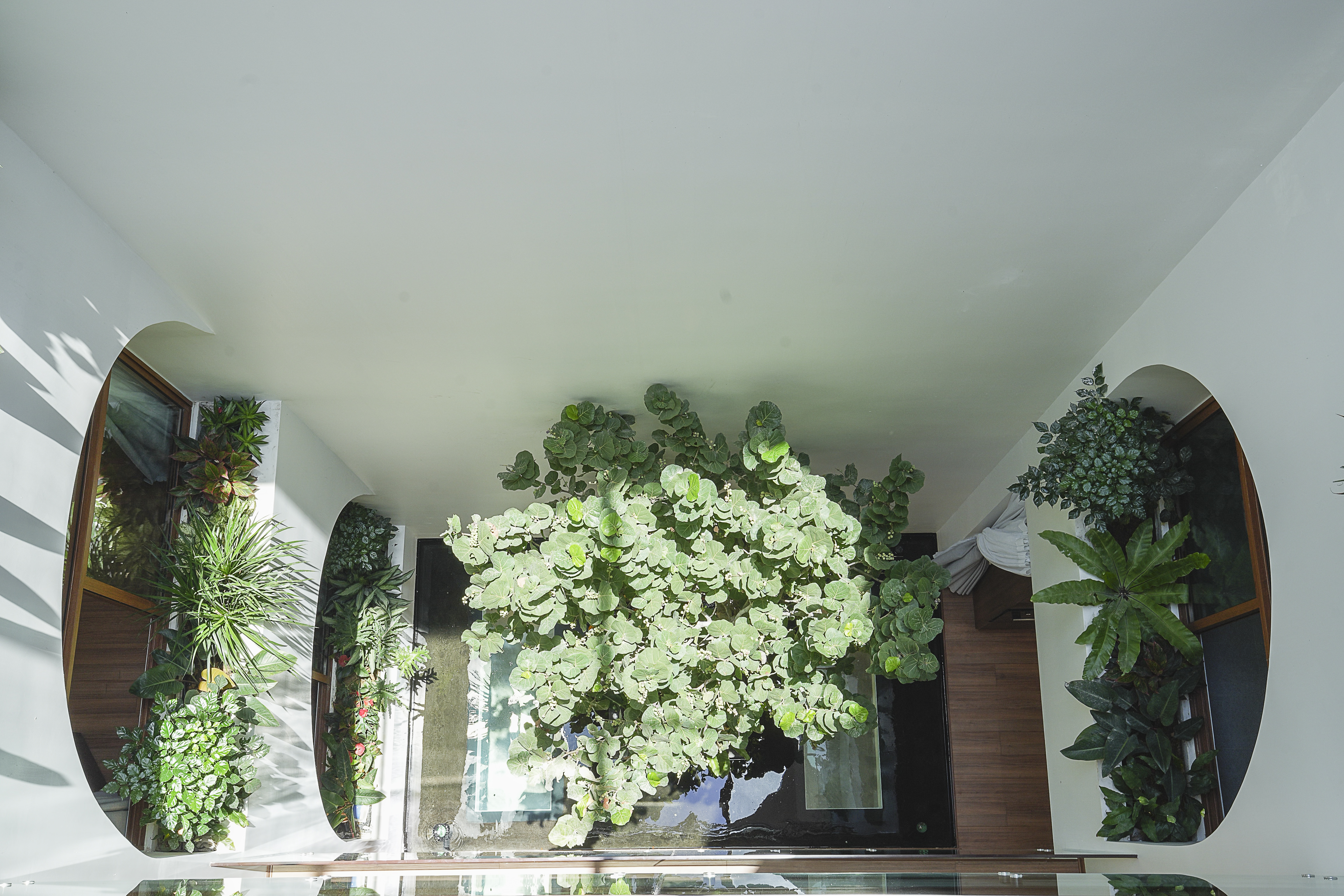 VUx House by 85 Design - Architizer