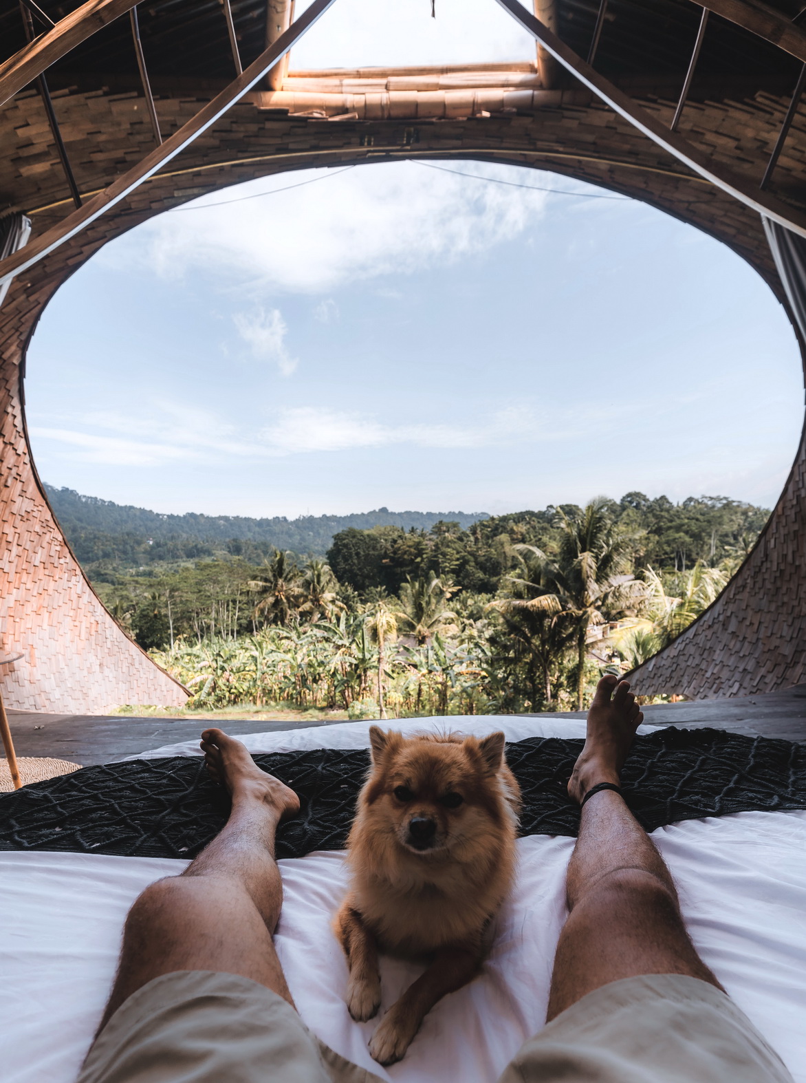 Scorpio House by Veluvana Bali by Studio WNA - Architizer