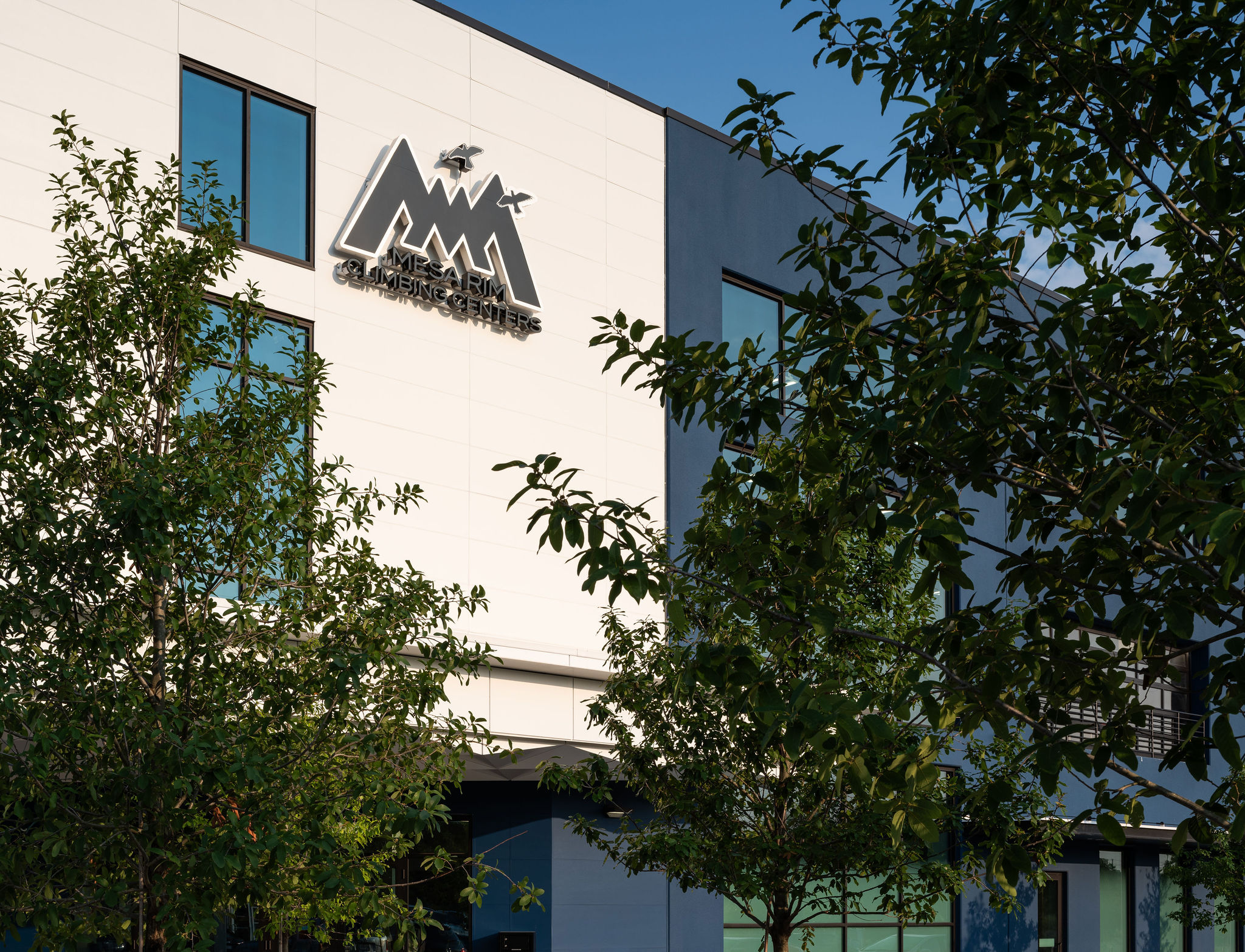 Mesa Rim - Austin Climbing Gym by Tenet Design - Architizer