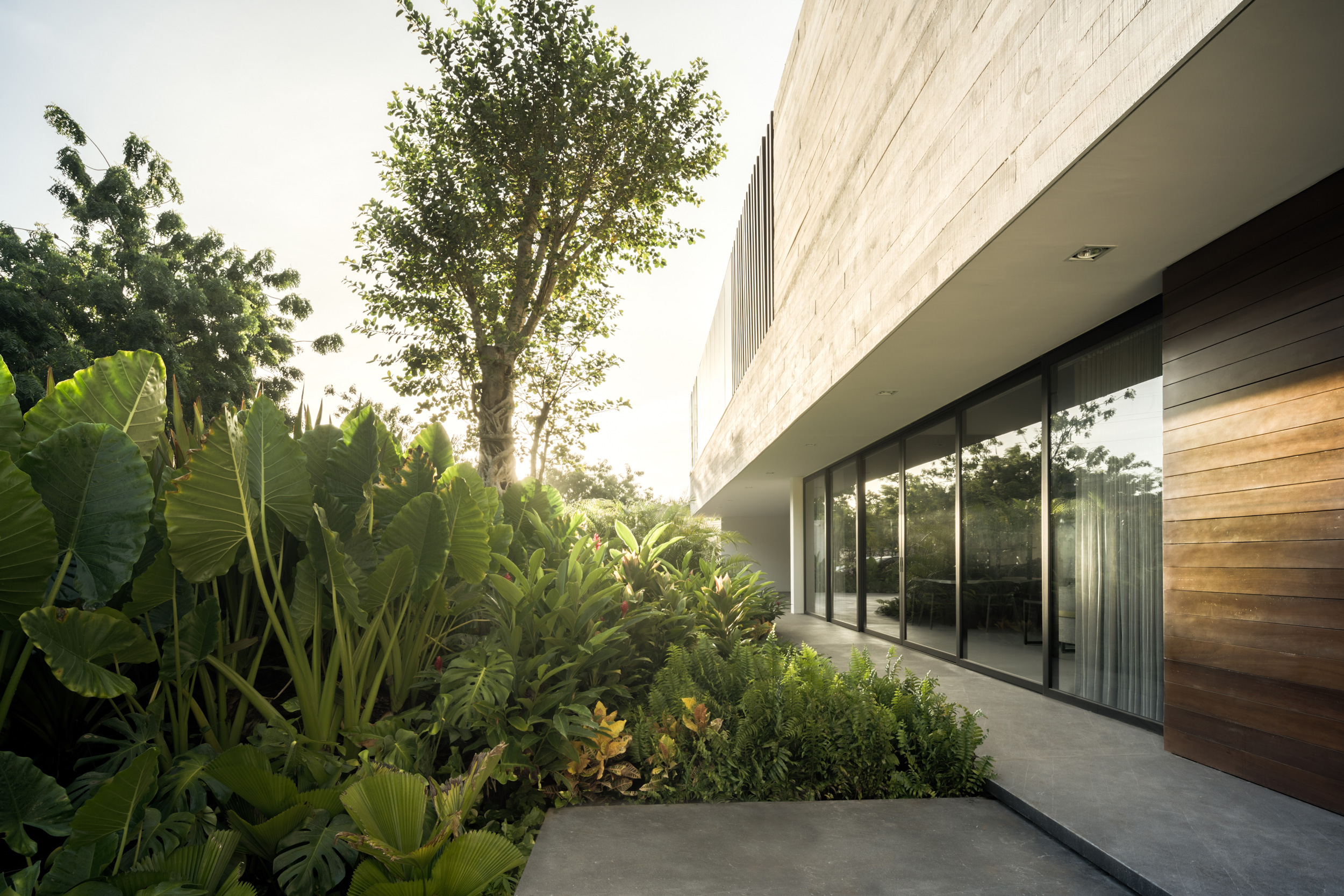 Casa Alpha by Arkham Projects - Architizer