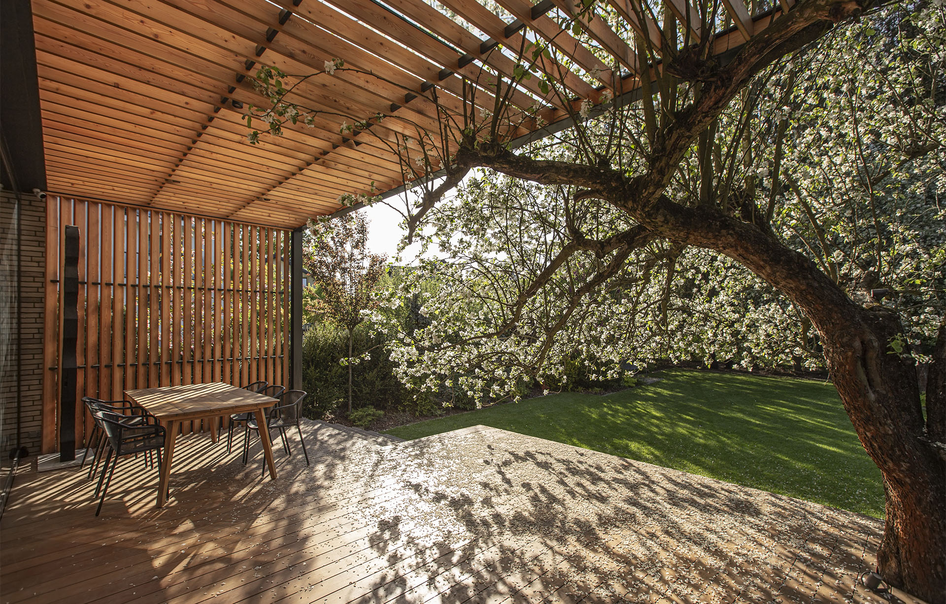 The Apple House by BXB studio Boguslaw Barnas - Architizer