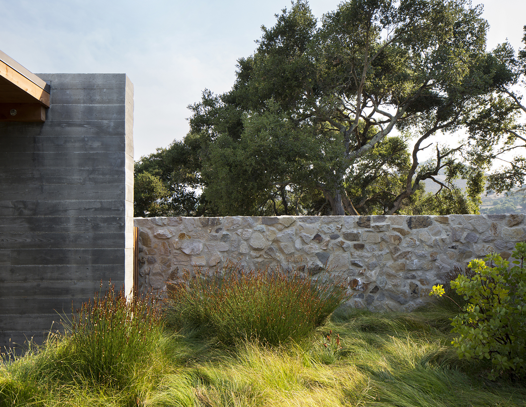 The Webster Poolhouse by Justin Pauly Architects - Architizer