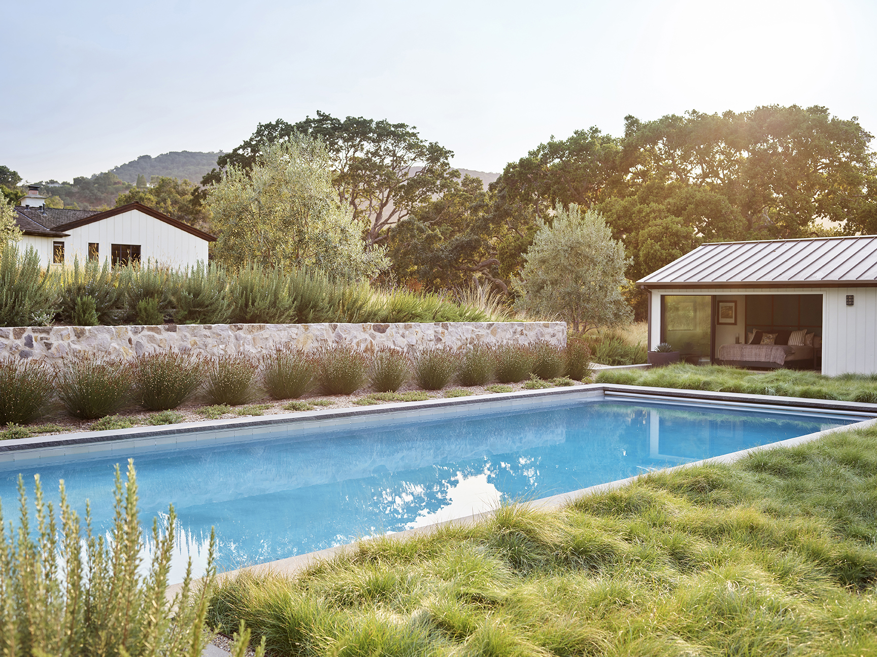 The Webster Poolhouse by Justin Pauly Architects - Architizer