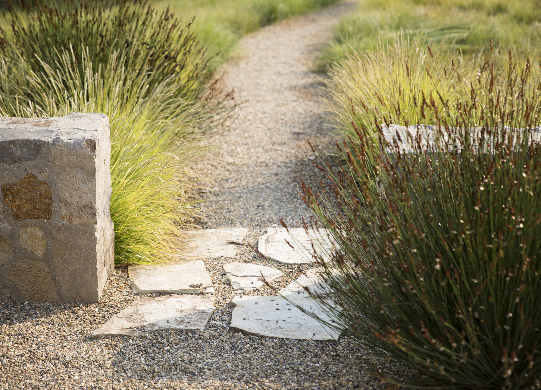 The Webster Poolhouse by Justin Pauly Architects - Architizer