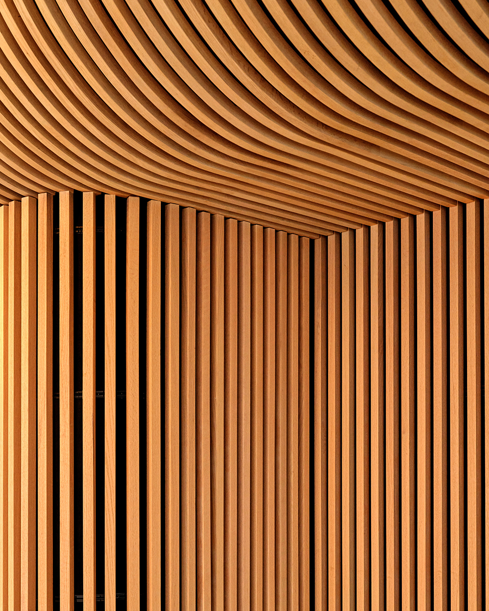 American Australian Association Murdoch Center by Woods Bagot - Architizer