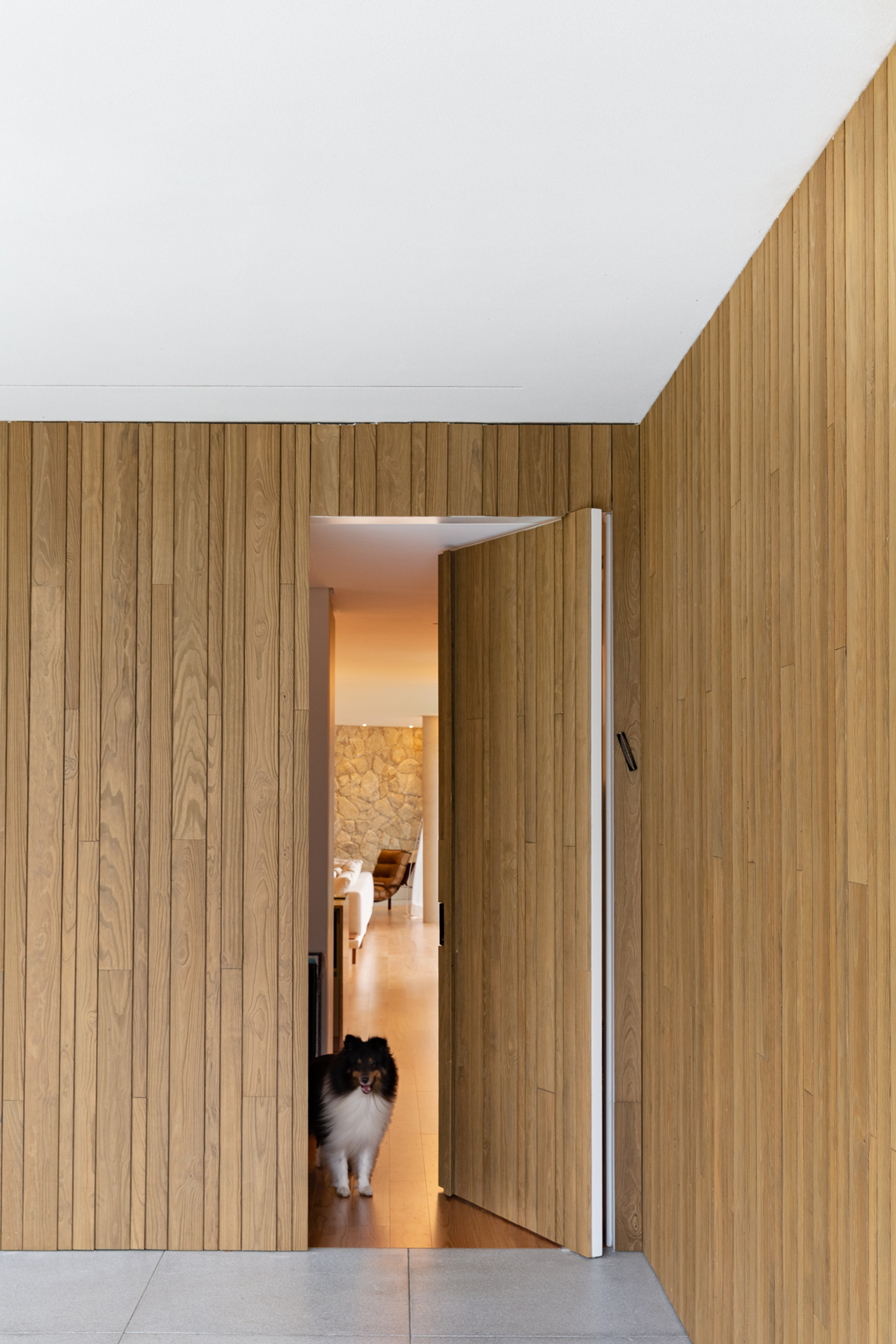 Vertice House by Nommo Arquitetos - Architizer