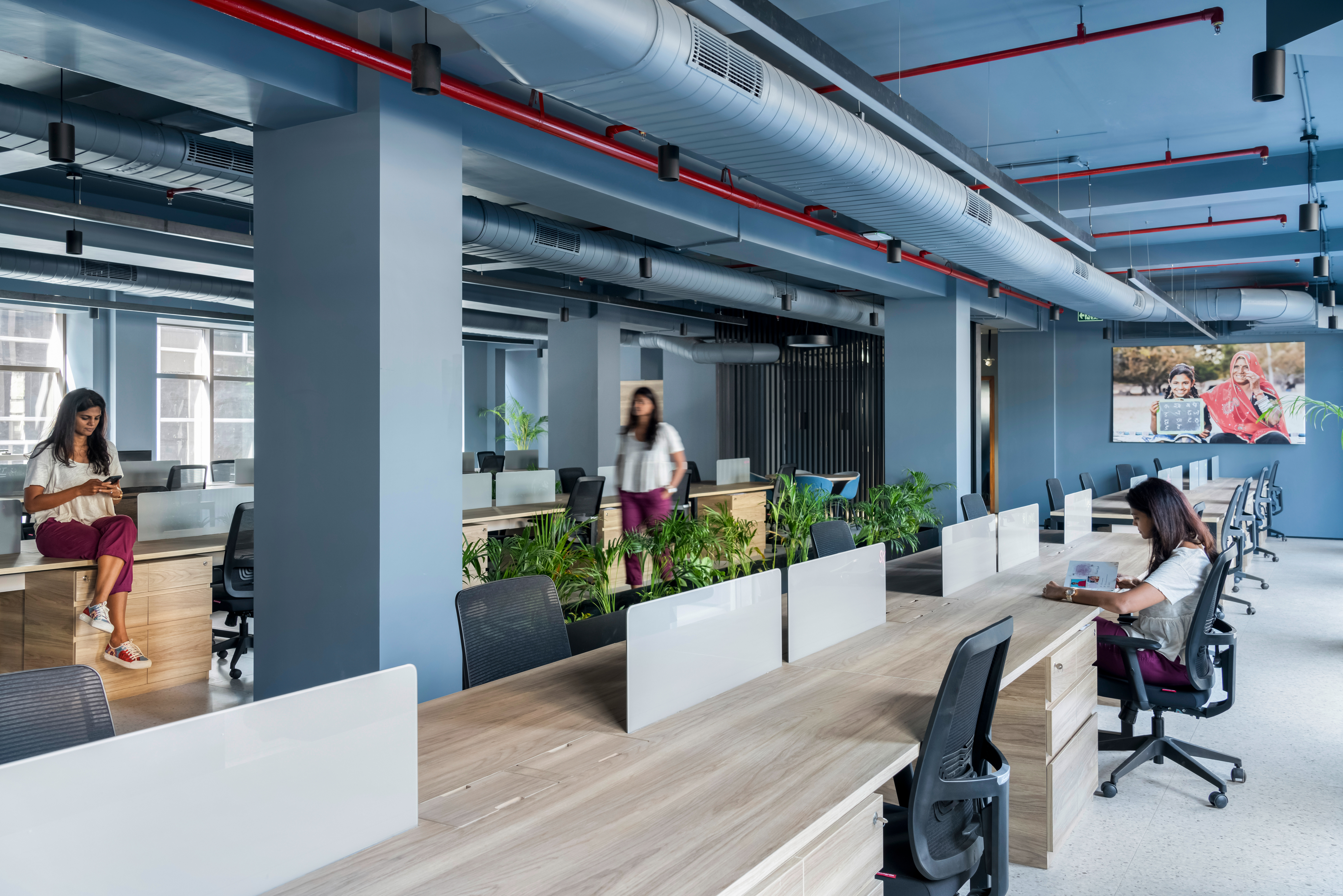 The NGO Office by Lyth Design - Architizer