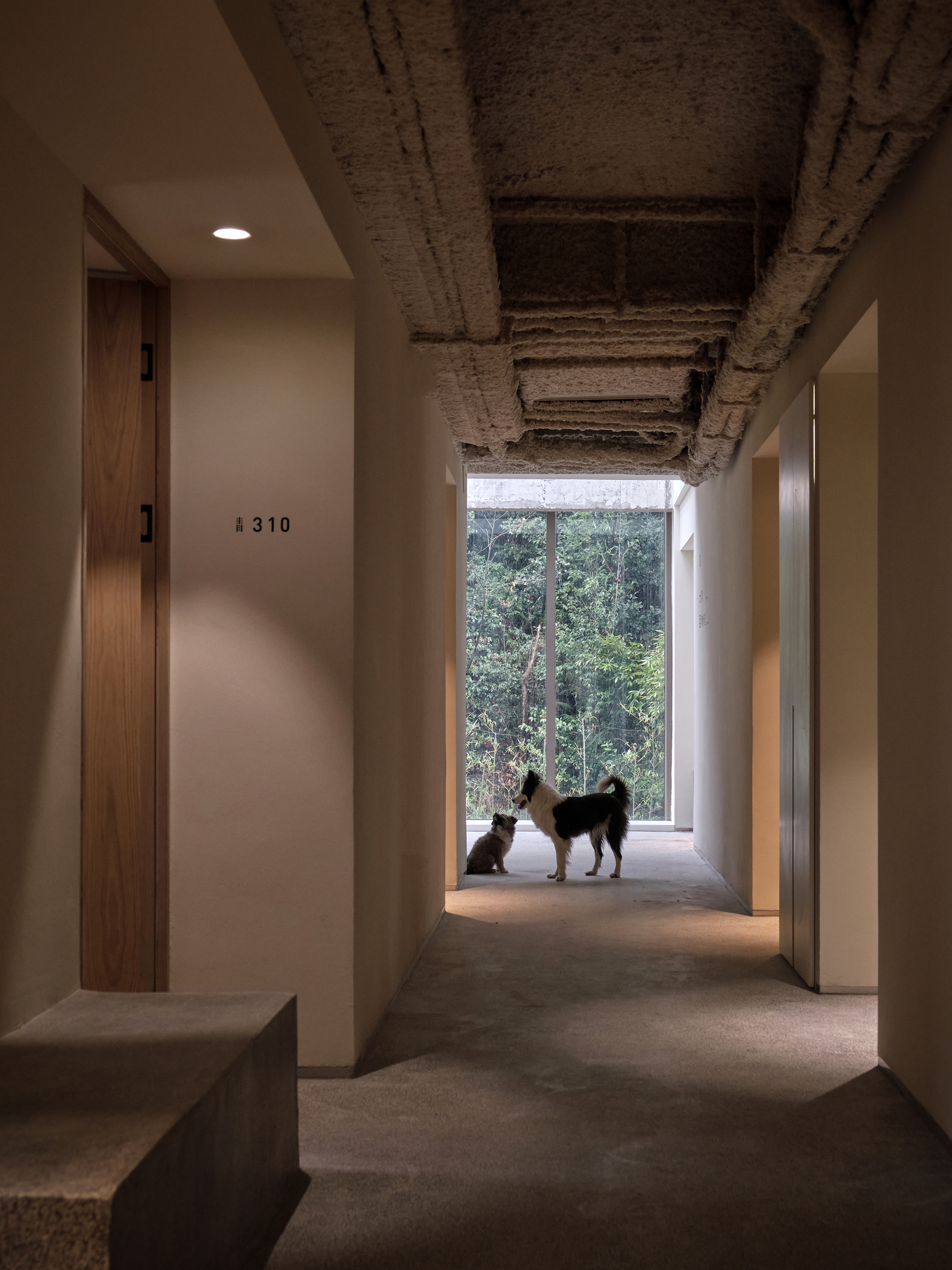 TERRACED COURTYARD by TEAM_BLDG - Architizer