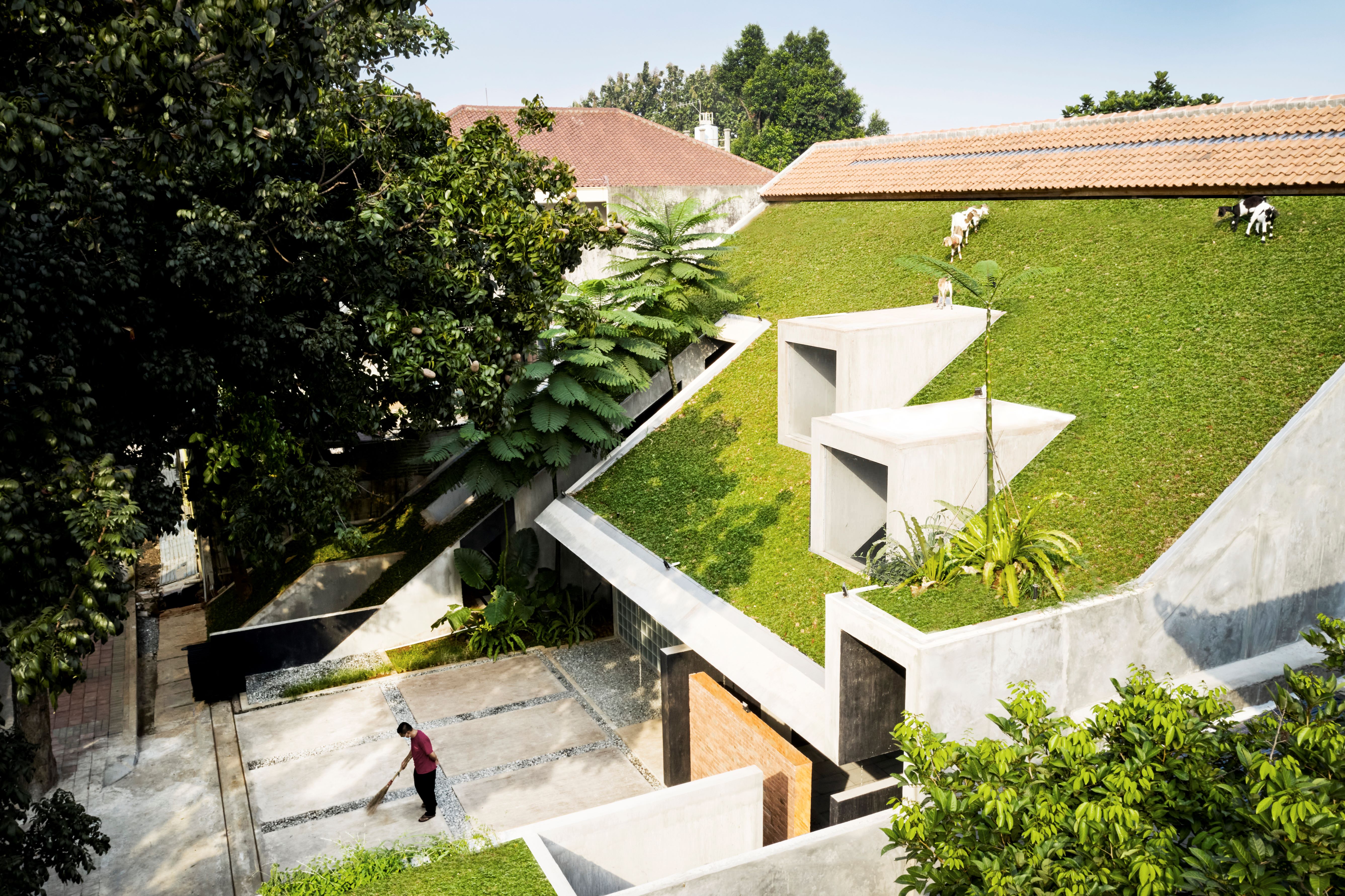 Micro Tropicality / RAD+ar HQ by RAD+ar ( Research Artistic Design ...