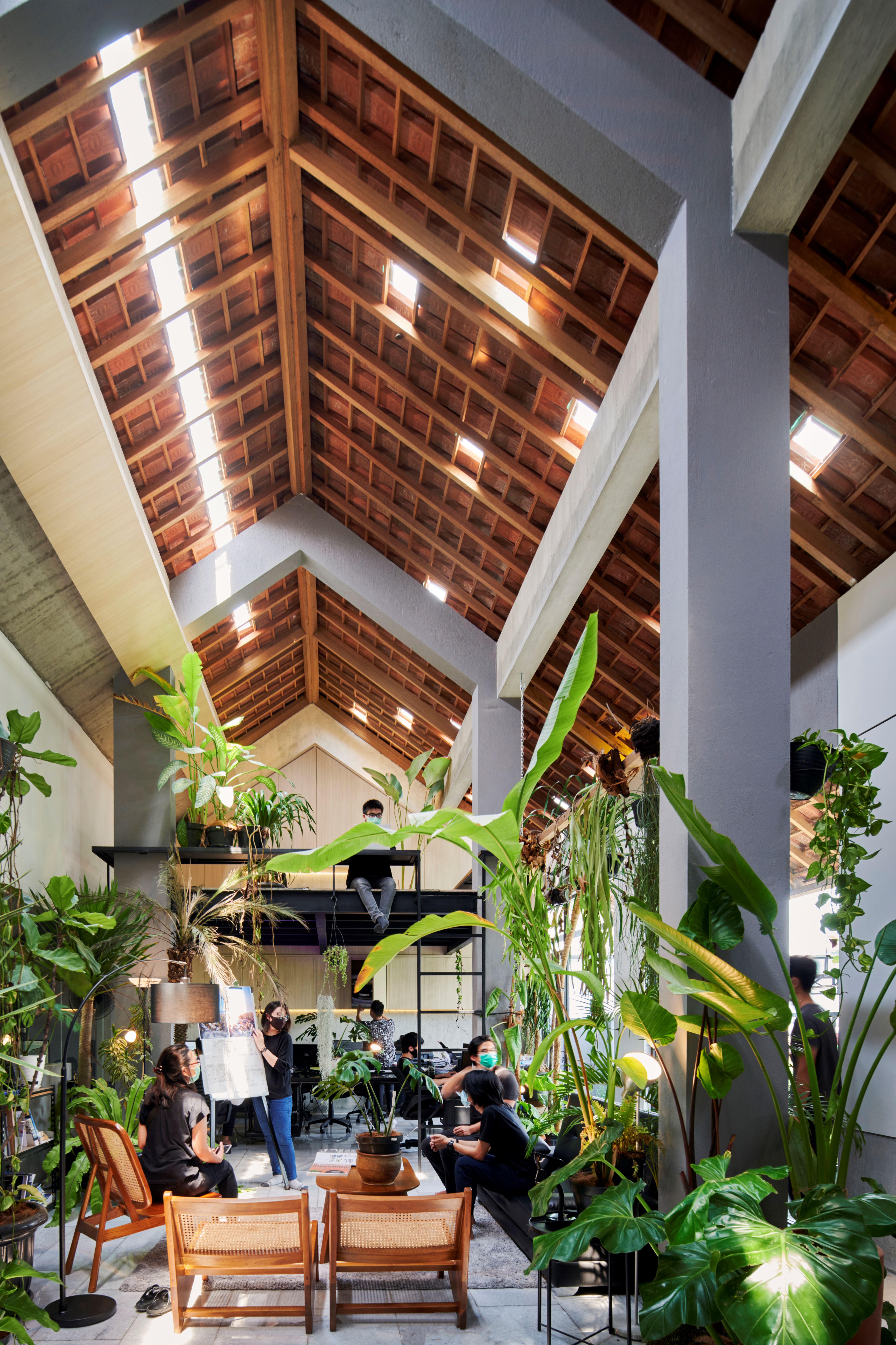 Micro Tropicality / RAD+ar HQ by RAD+ar ( Research Artistic Design ...