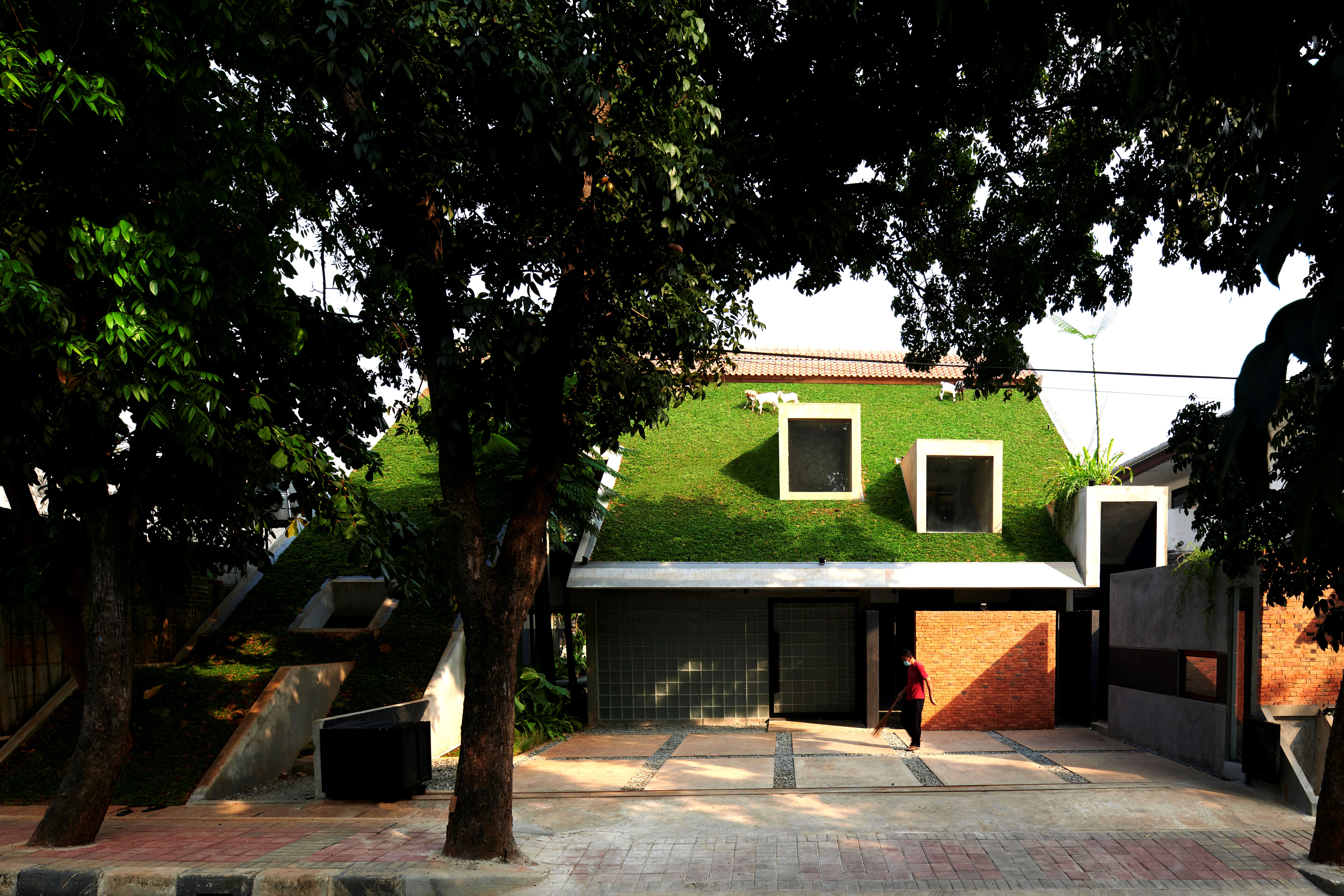 Micro Tropicality / RAD+ar HQ by RAD+ar ( Research Artistic Design ...