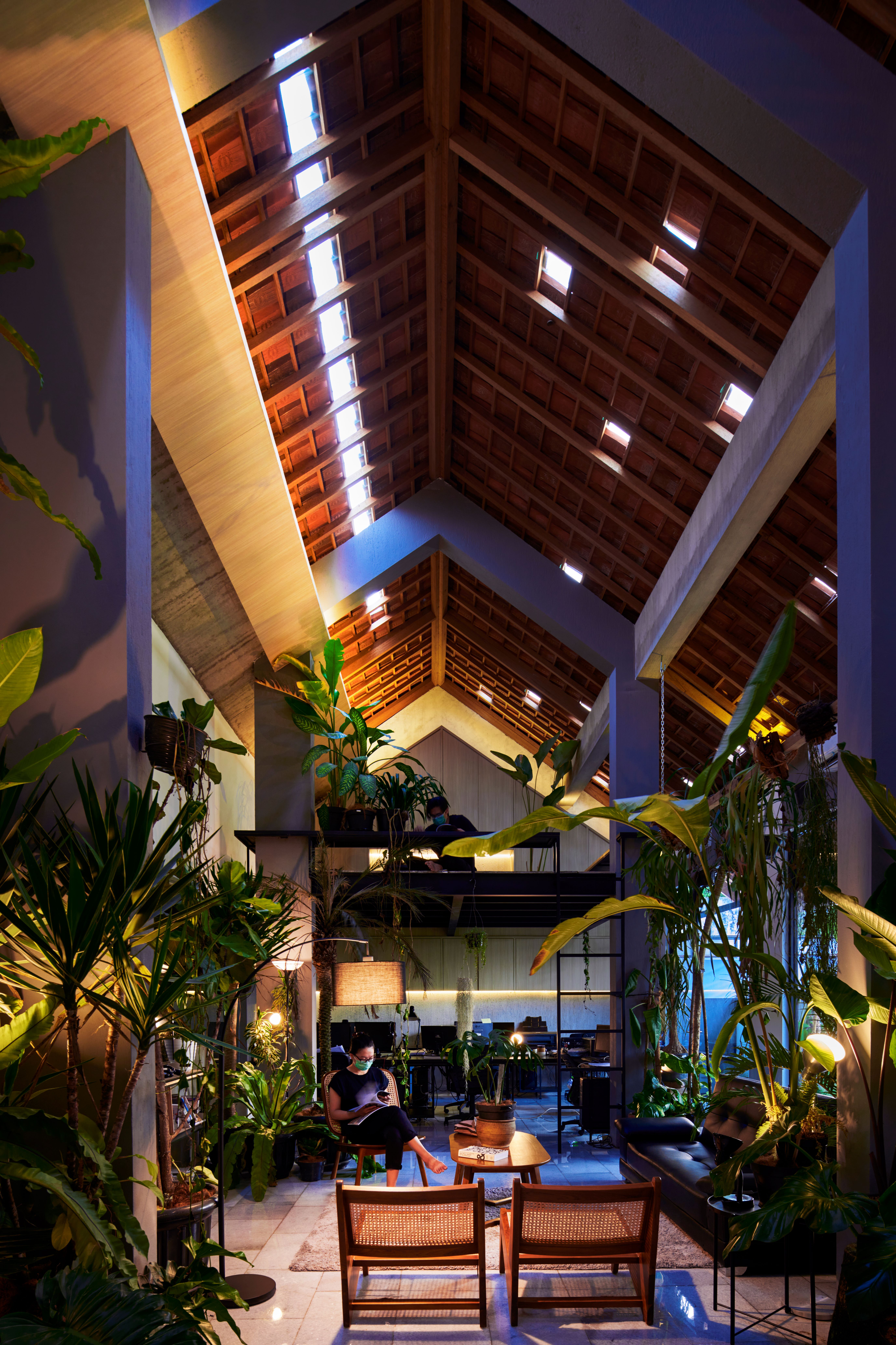 Micro Tropicality / RAD+ar HQ by RAD+ar ( Research Artistic Design ...