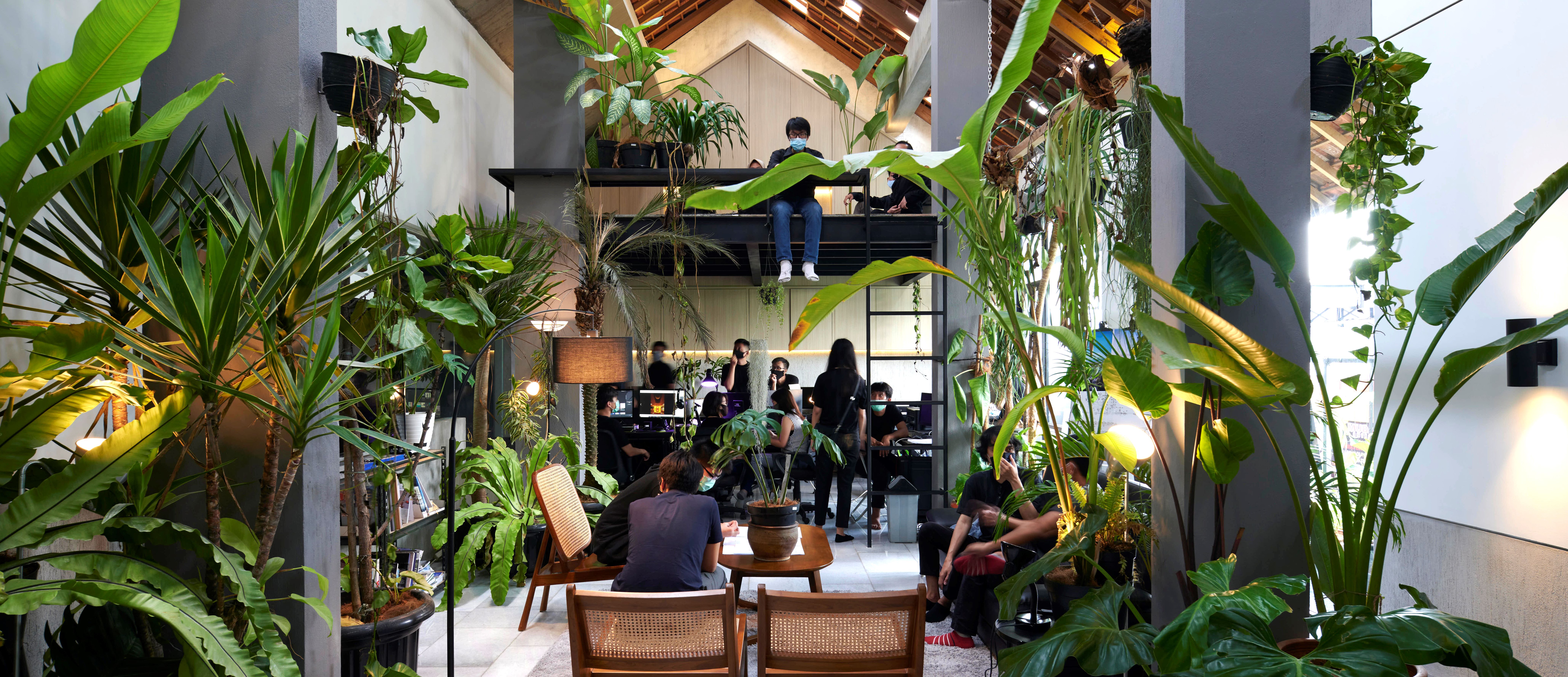 Micro Tropicality / RAD+ar HQ by RAD+ar ( Research Artistic Design ...