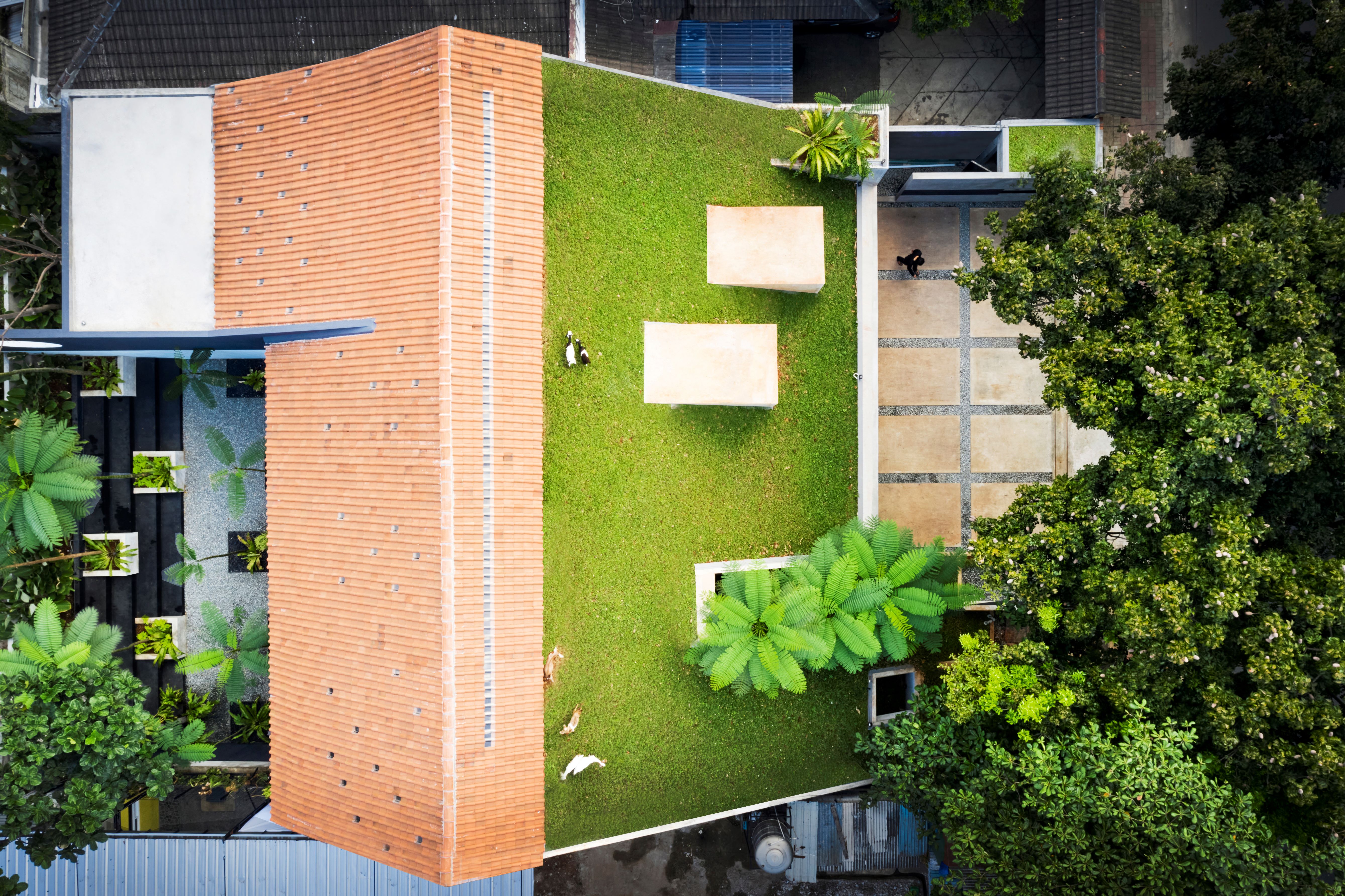 Micro Tropicality / RAD+ar HQ by RAD+ar ( Research Artistic Design ...