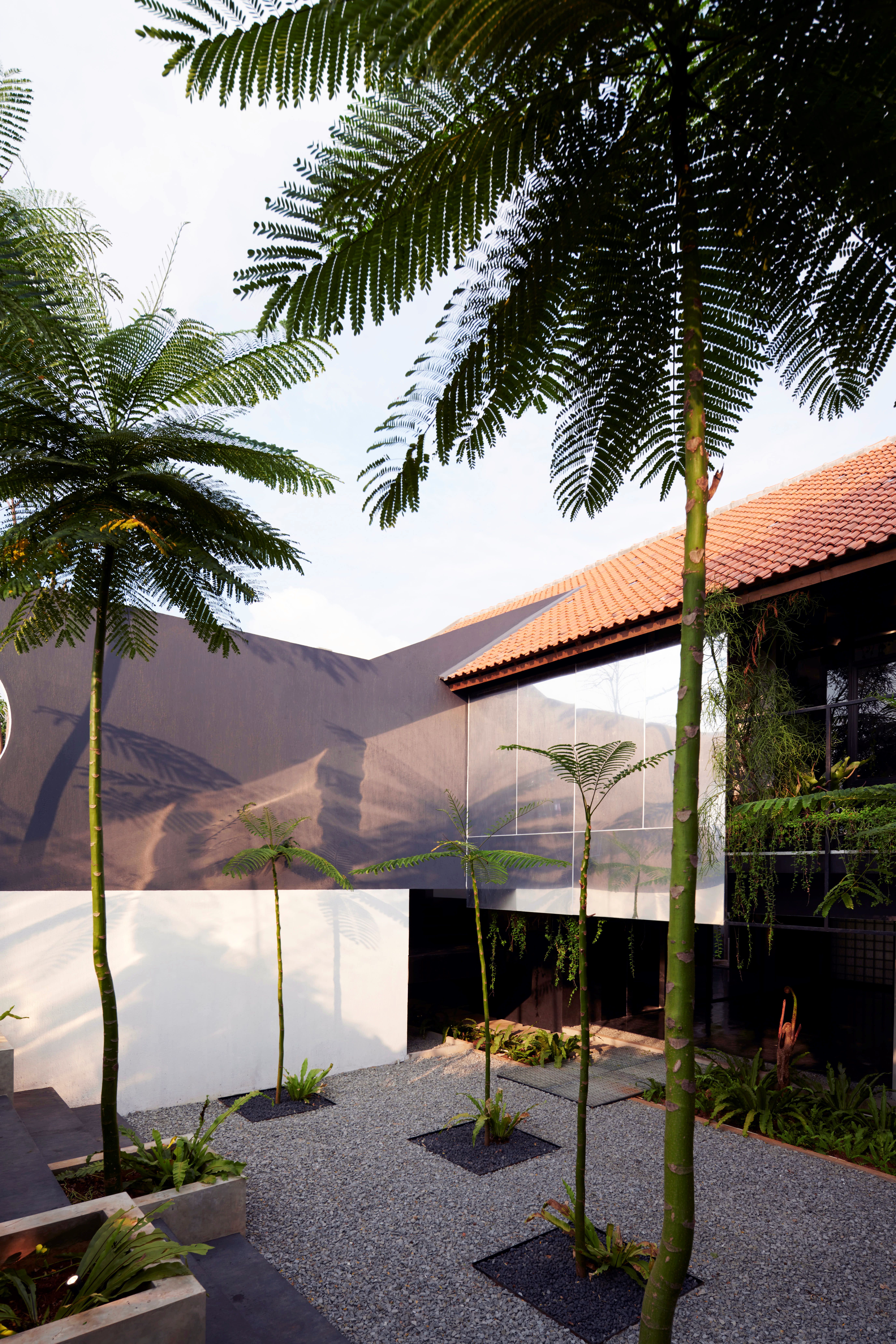 Micro Tropicality / RAD+ar HQ by RAD+ar ( Research Artistic Design ...