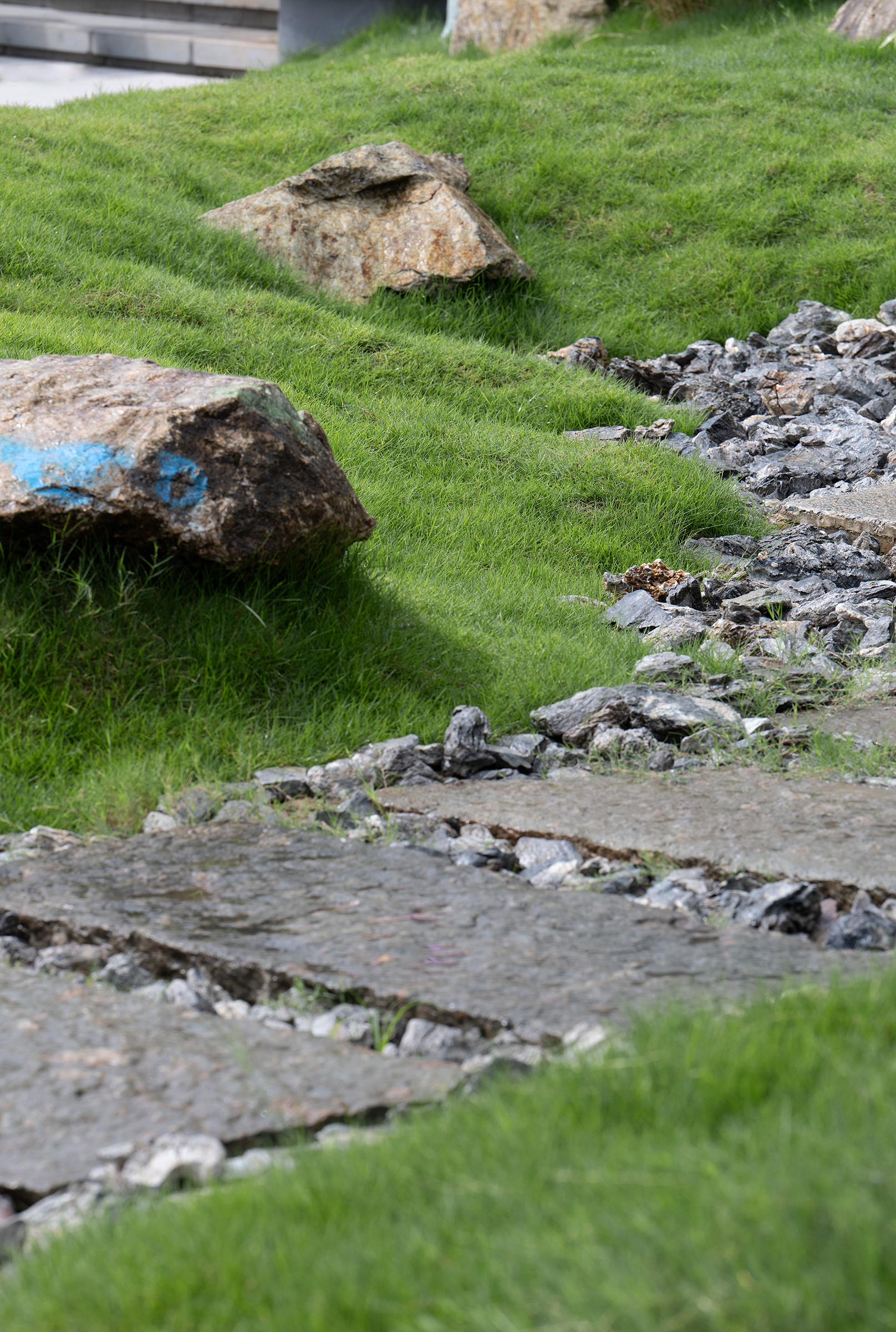 WILD BACK by PIG Design - Architizer