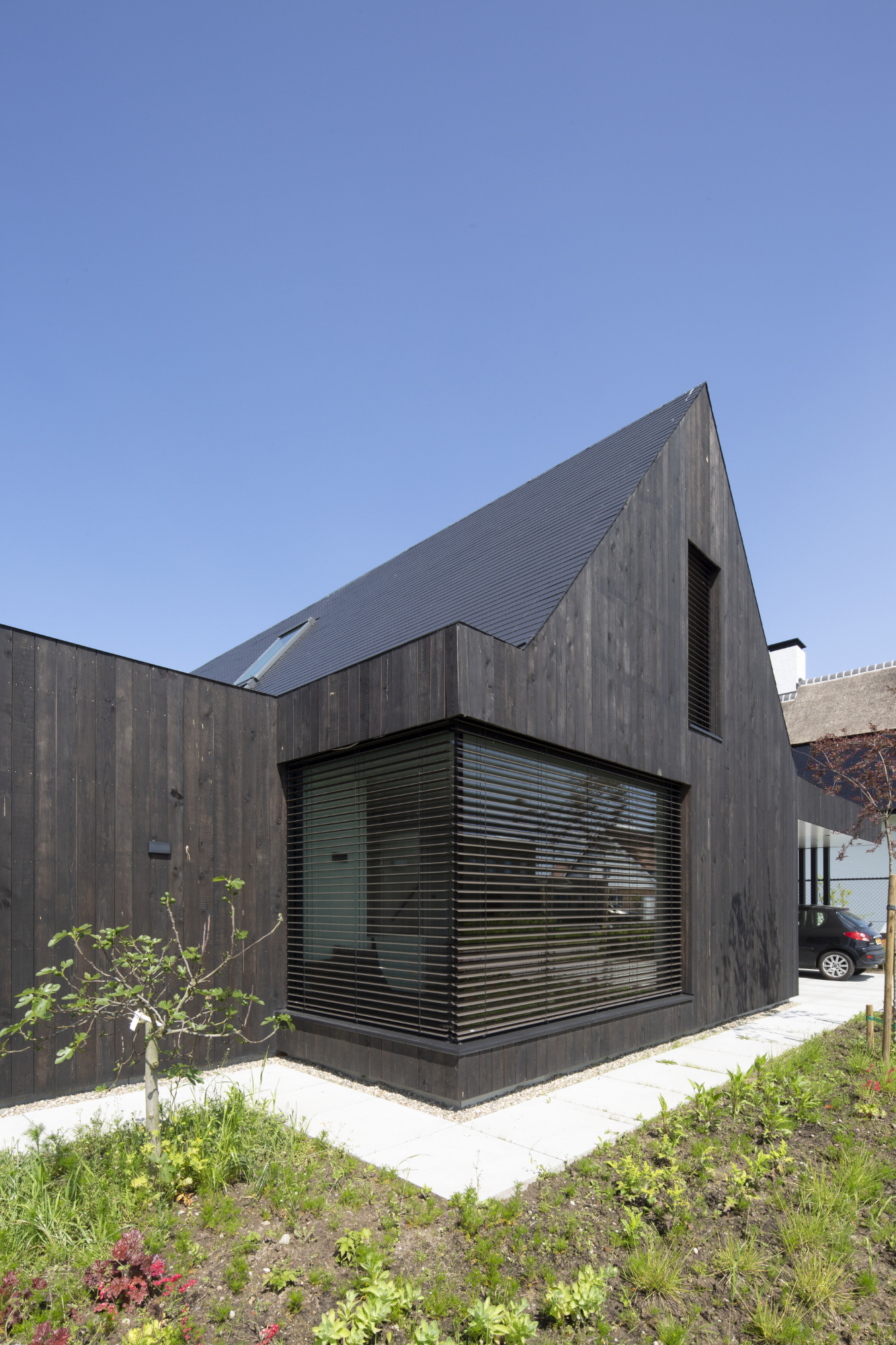 Fungi House by Joris Verhoeven Architecture - Architizer