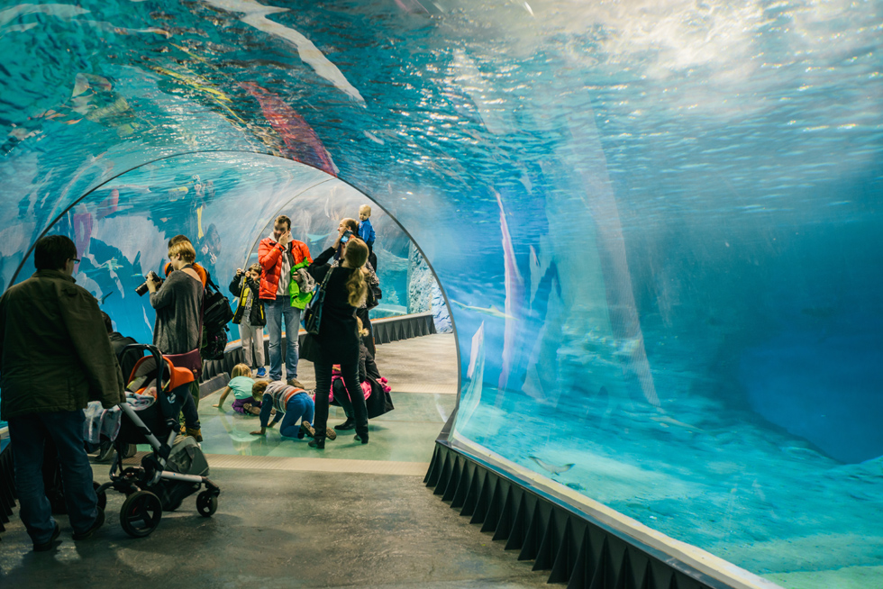 AFRYKARIUM OCEANARIUM, ZOO WROCŁAW by Szlachcic Architekci sp. z o.o ...