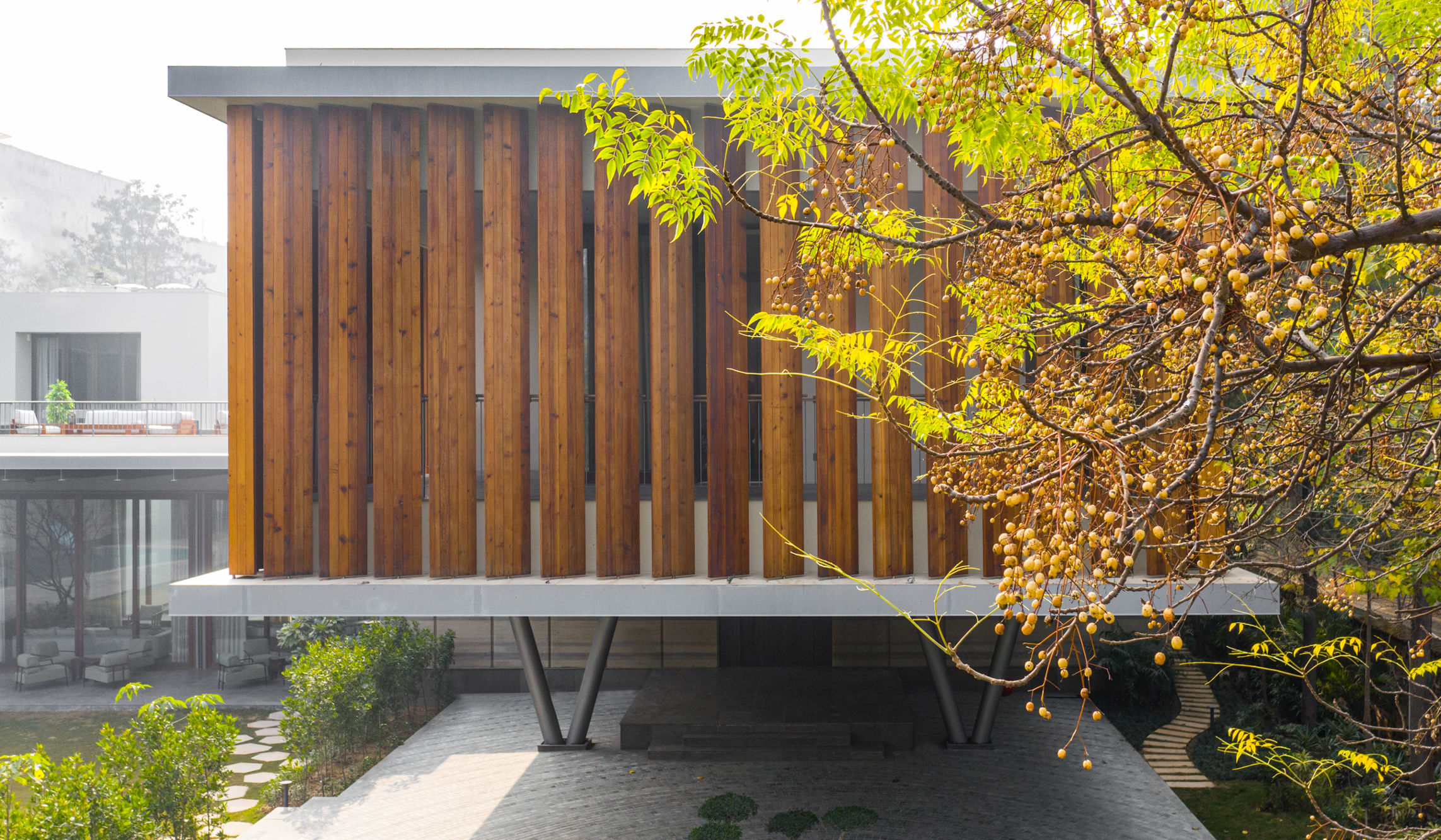 Earth and Glass House by Studio Lotus - Architizer