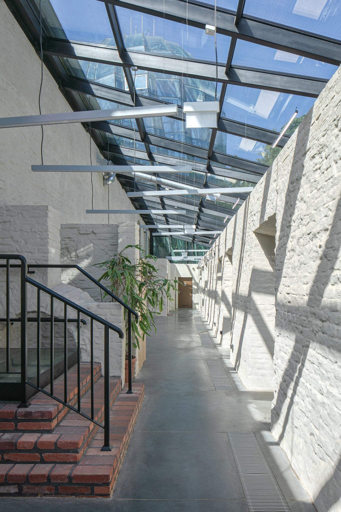 Palm House building complex in the Botanical Garden by RYSY Architekci ...