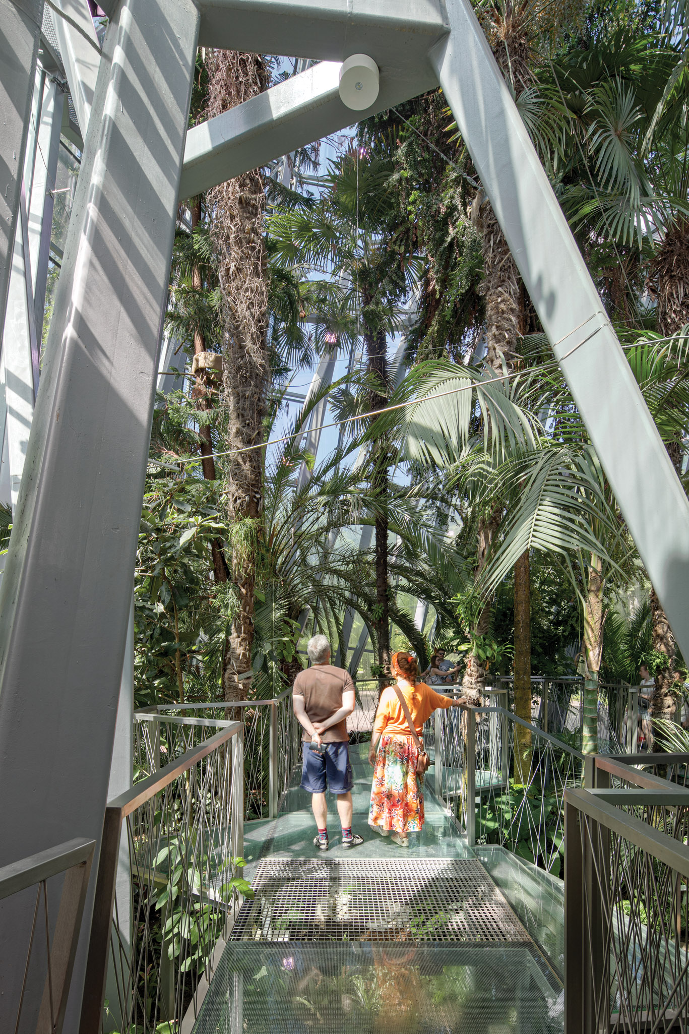 Palm House building complex in the Botanical Garden by RYSY Architekci ...