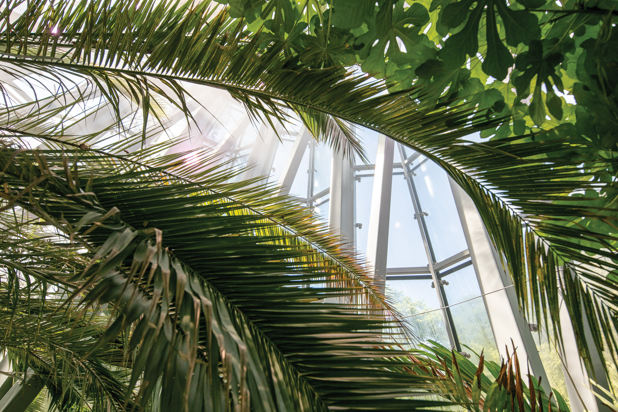 Palm House building complex in the Botanical Garden by RYSY Architekci ...