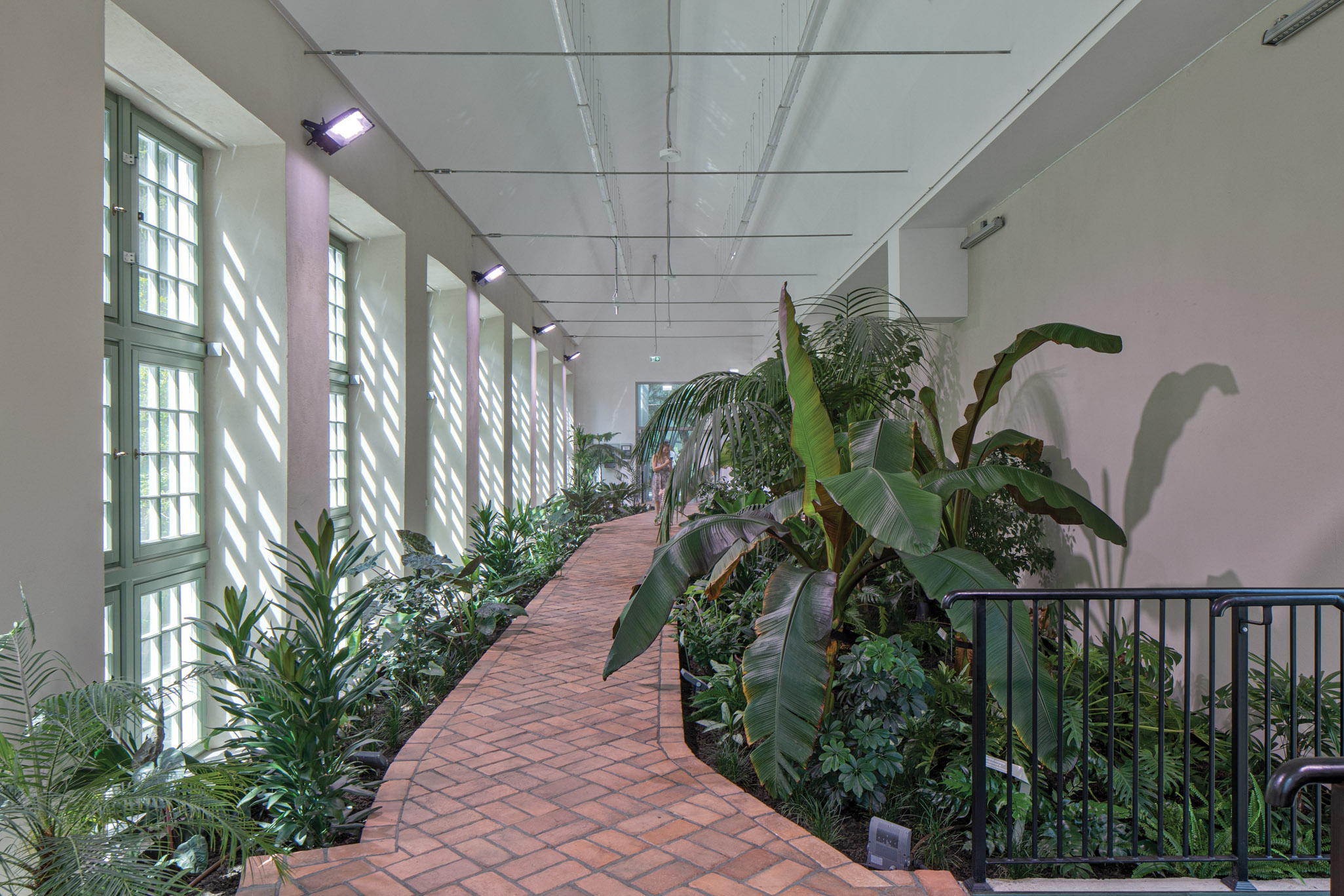 Palm House building complex in the Botanical Garden by RYSY Architekci ...