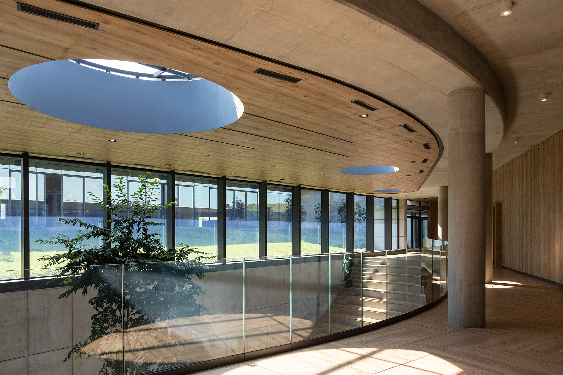 NOVOPAN by Diez+Muller - Architizer