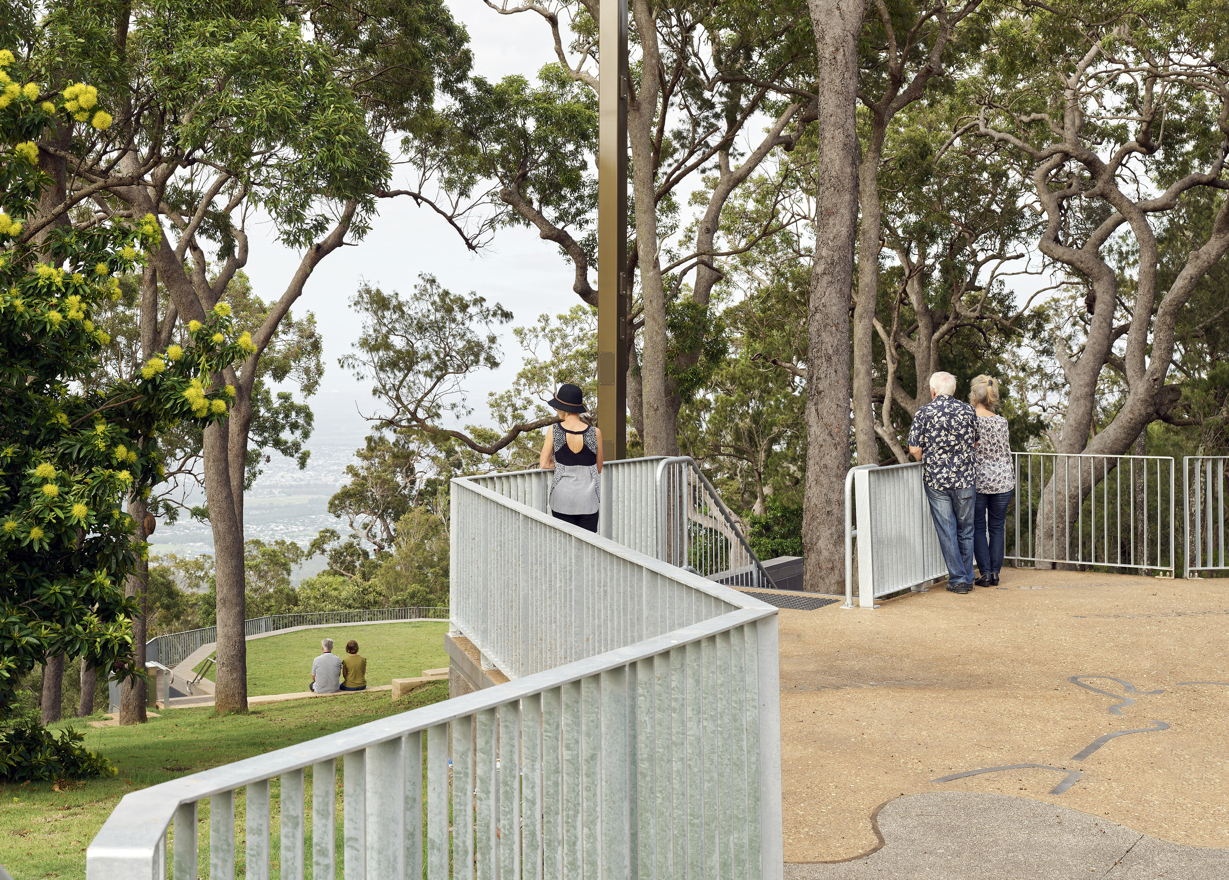 Mt Archer - Treetop Boardwalk and park revitalization by Design ...