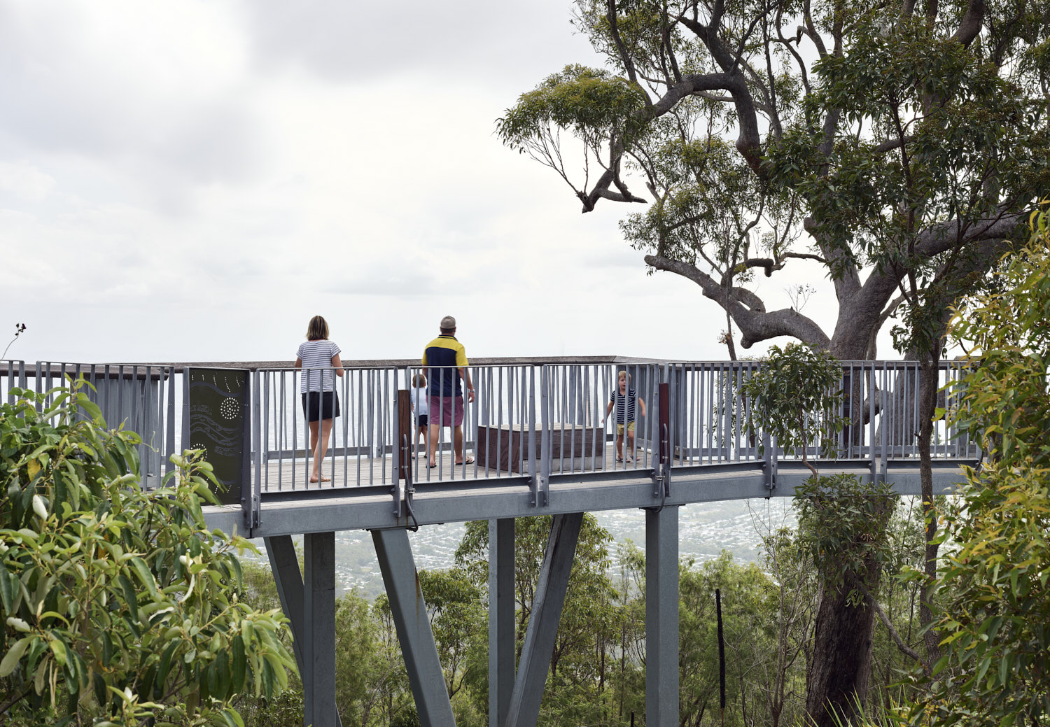 Mt Archer - Treetop Boardwalk and park revitalization by Design ...