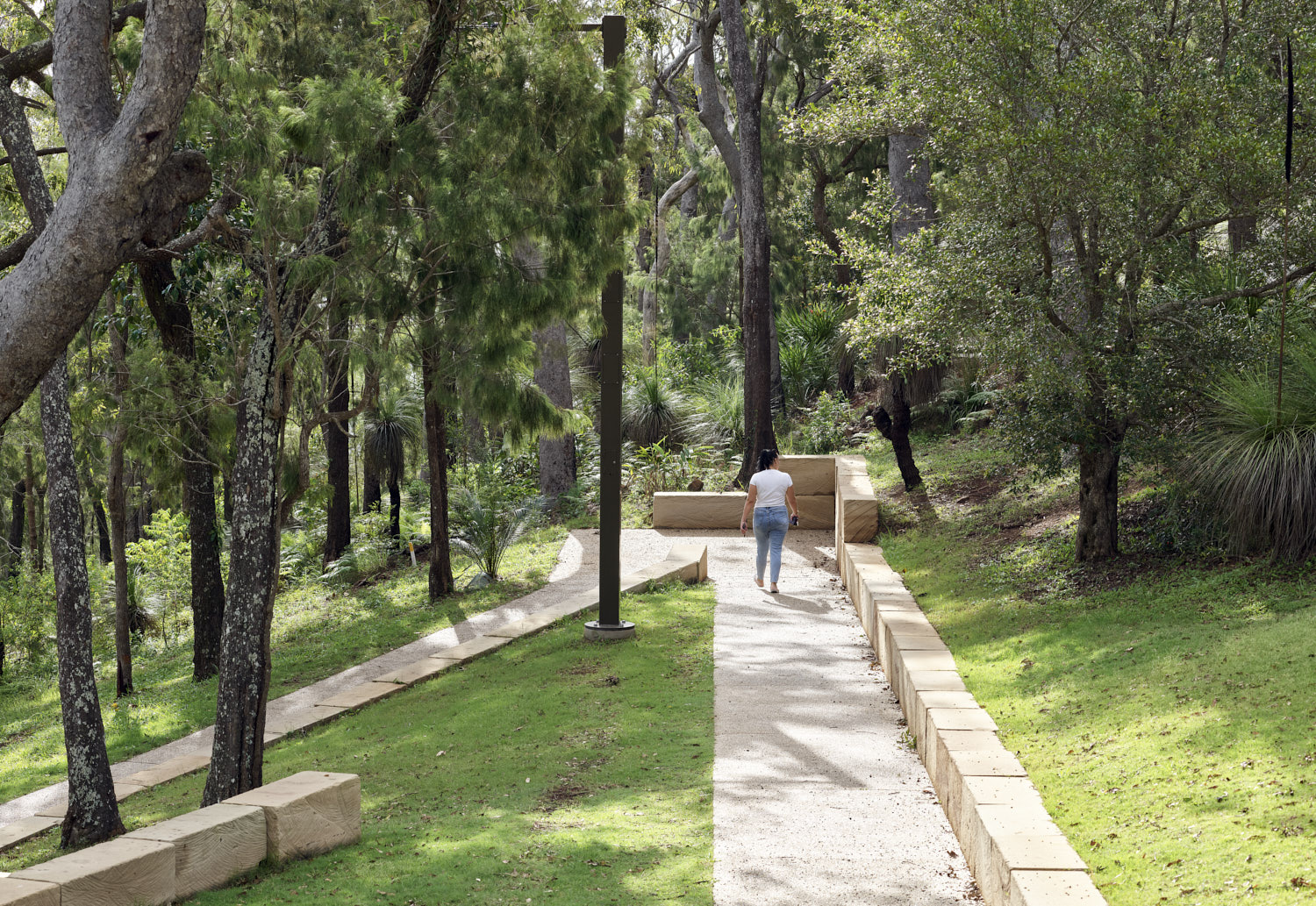 Mt Archer - Treetop Boardwalk and park revitalization by Design ...