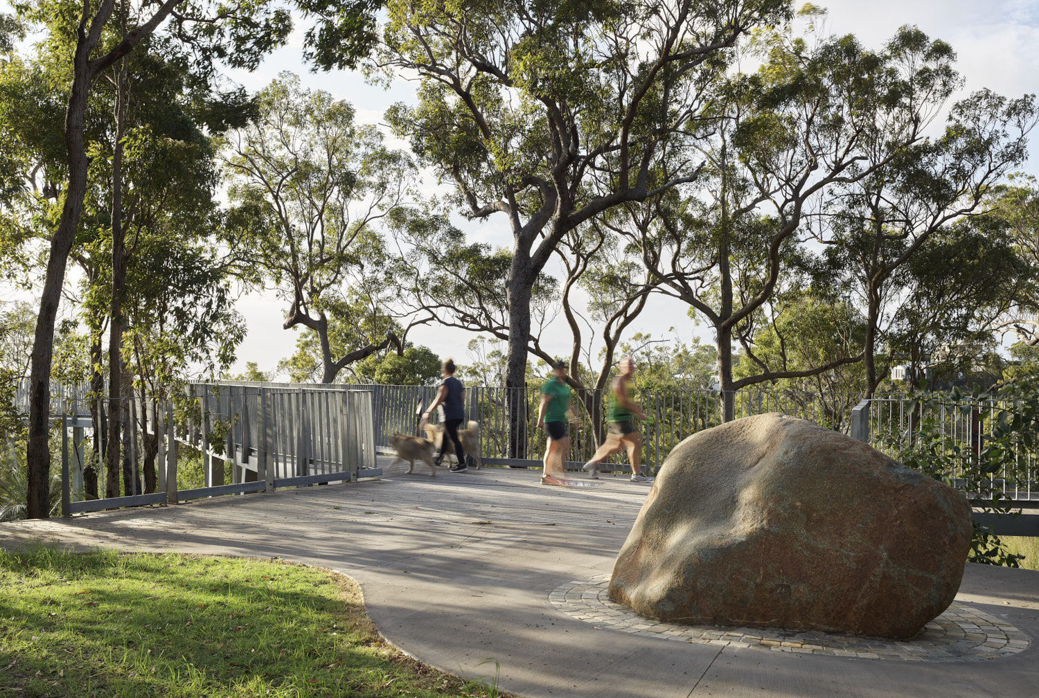Mt Archer - Treetop Boardwalk and park revitalization by Design ...