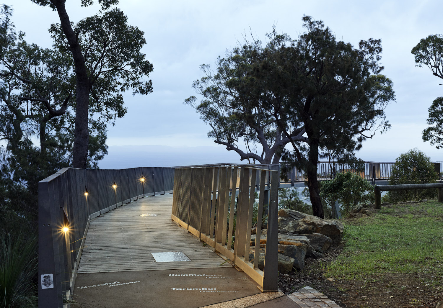 Mt Archer - Treetop Boardwalk and park revitalization by Design ...