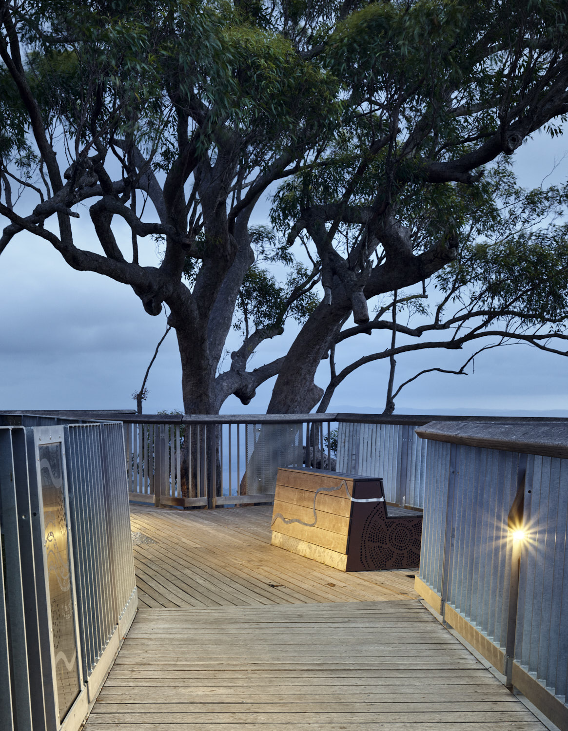Mt Archer - Treetop Boardwalk and park revitalization by Design ...